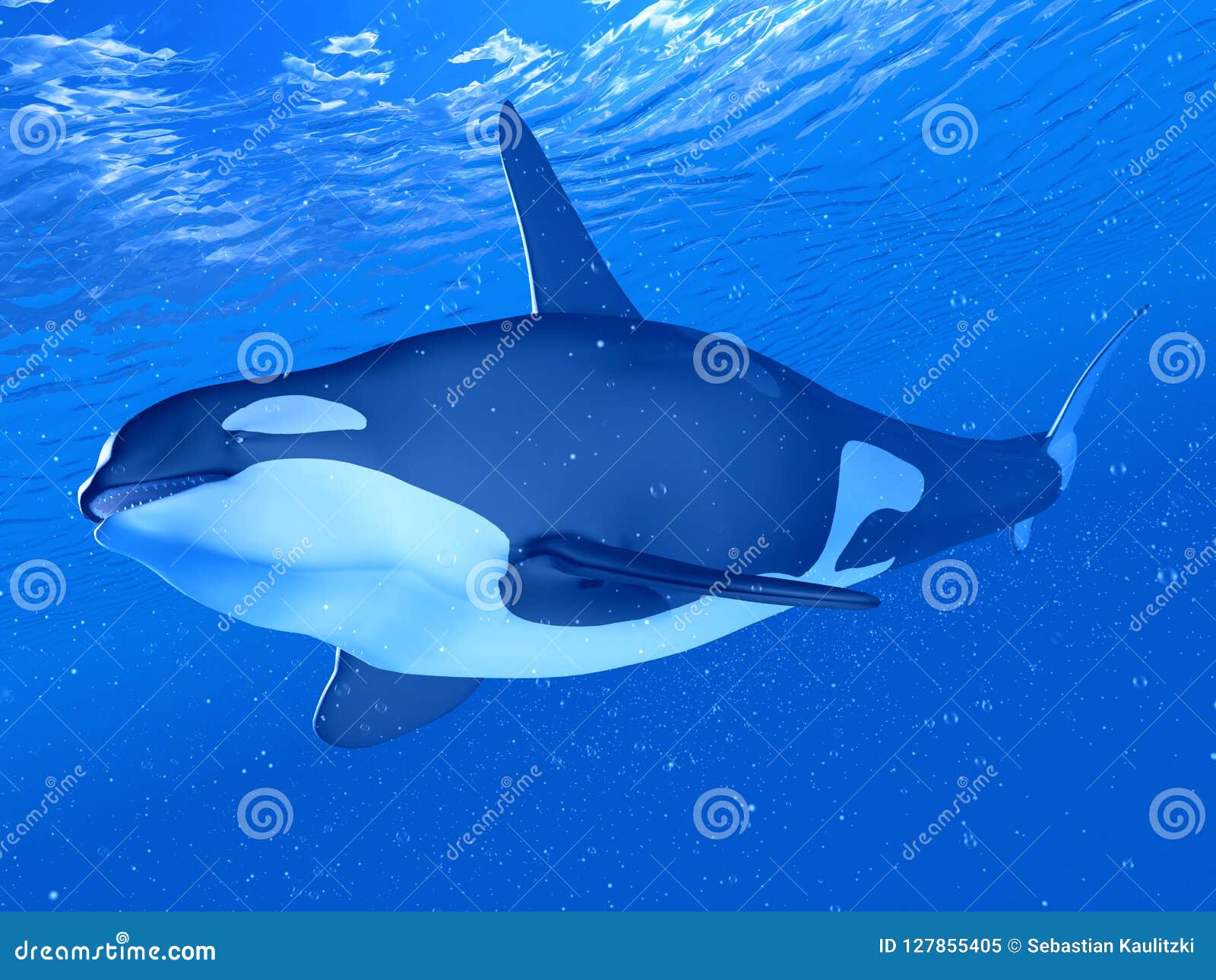 A sword whale stock illustration. Illustration of liquid - 127855405
