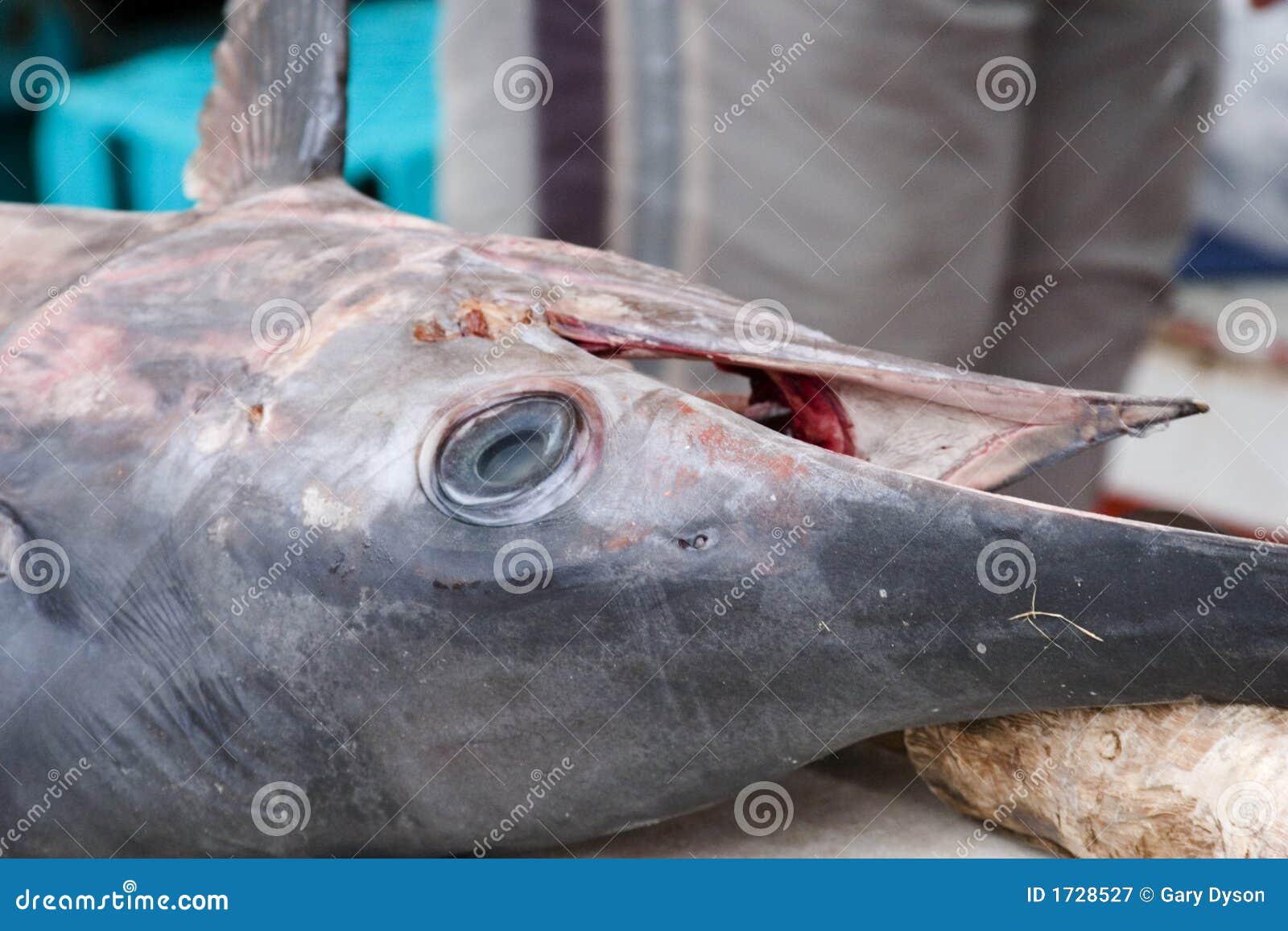 Swordfish Head, Argostoli Harbour, Kefalonia, September 2006 Stock ...