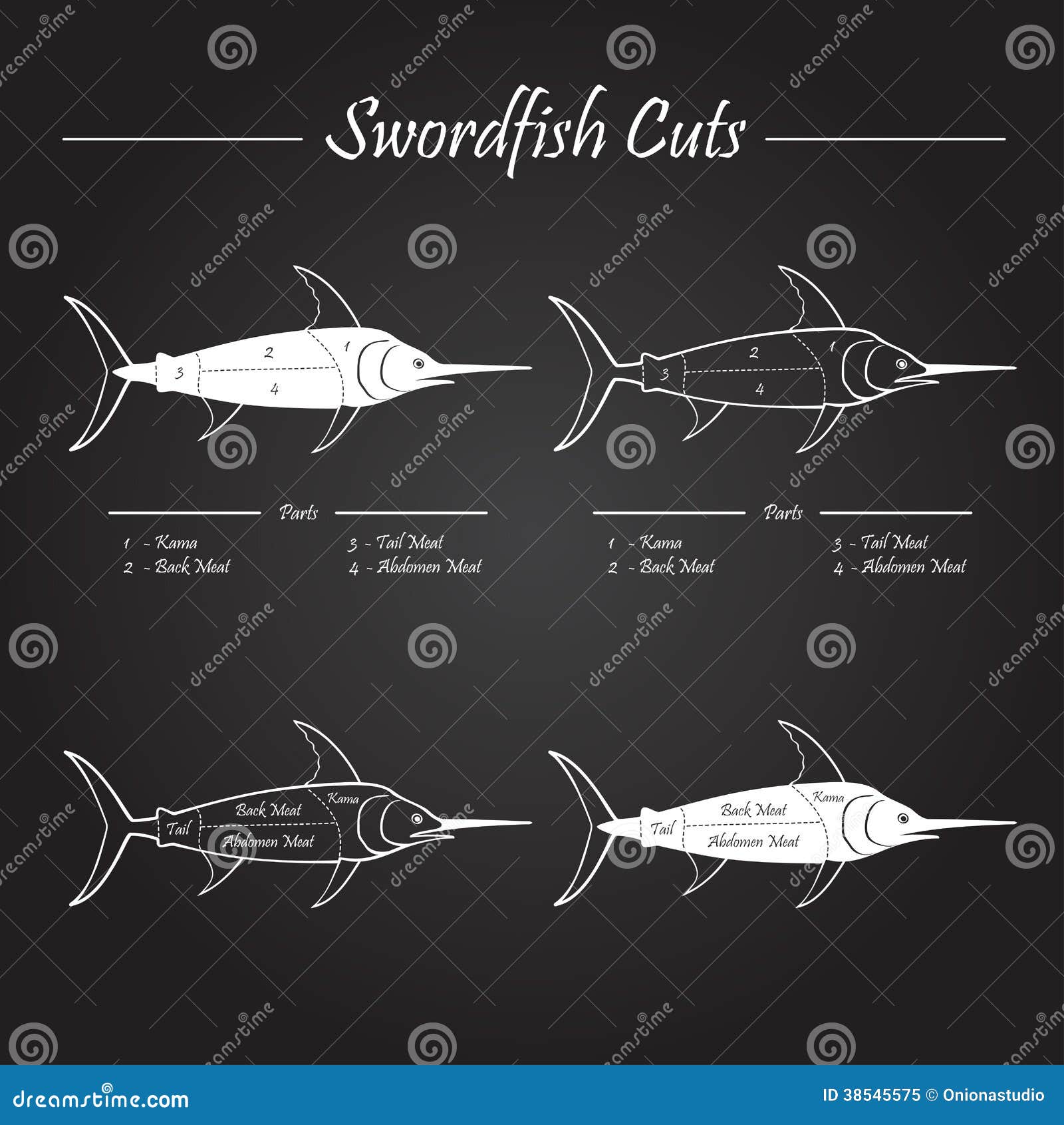 Swordfish meat cuts scheme stock vector. Illustration of back - 38545575