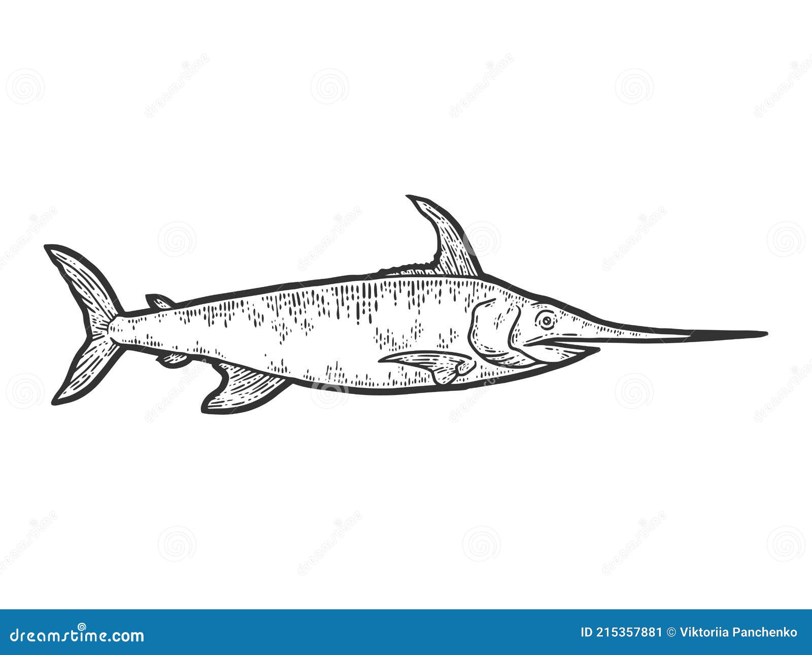 Swordfish. Sketch Scratch Board Imitation. Black and White Stock Vector ...