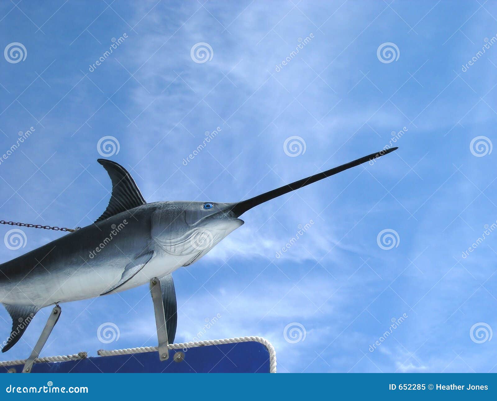 Swordfish in the sky stock image. Image of sign, bright - 652285