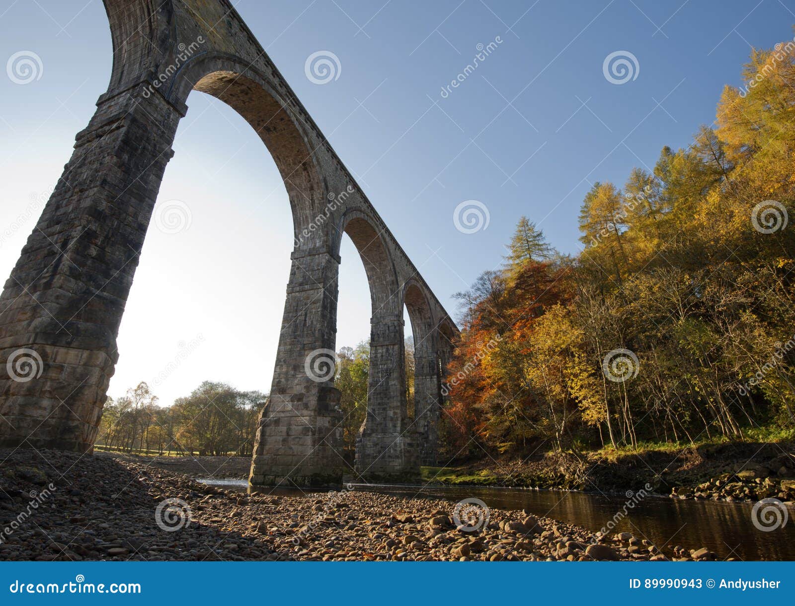 Sycamore Tree Rocks Stock Photos - Free & Royalty-Free Stock Photos ...