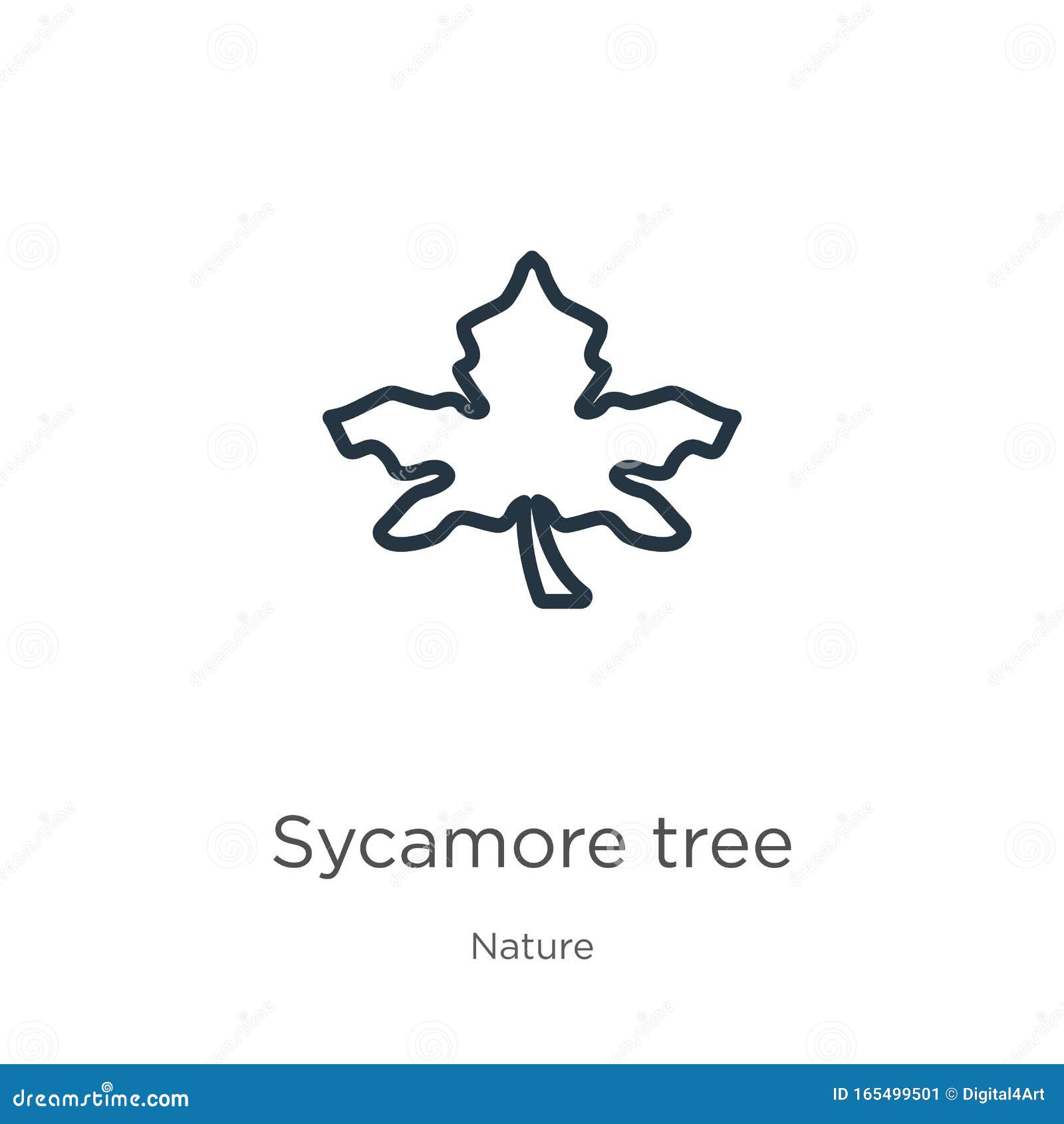 Sycamore Tree Icon. Thin Linear Sycamore Tree Outline Icon Isolated On ... Sycamore Tree Icon. Thin Linear Sycamore Tree Outline Icon Isolated On ...