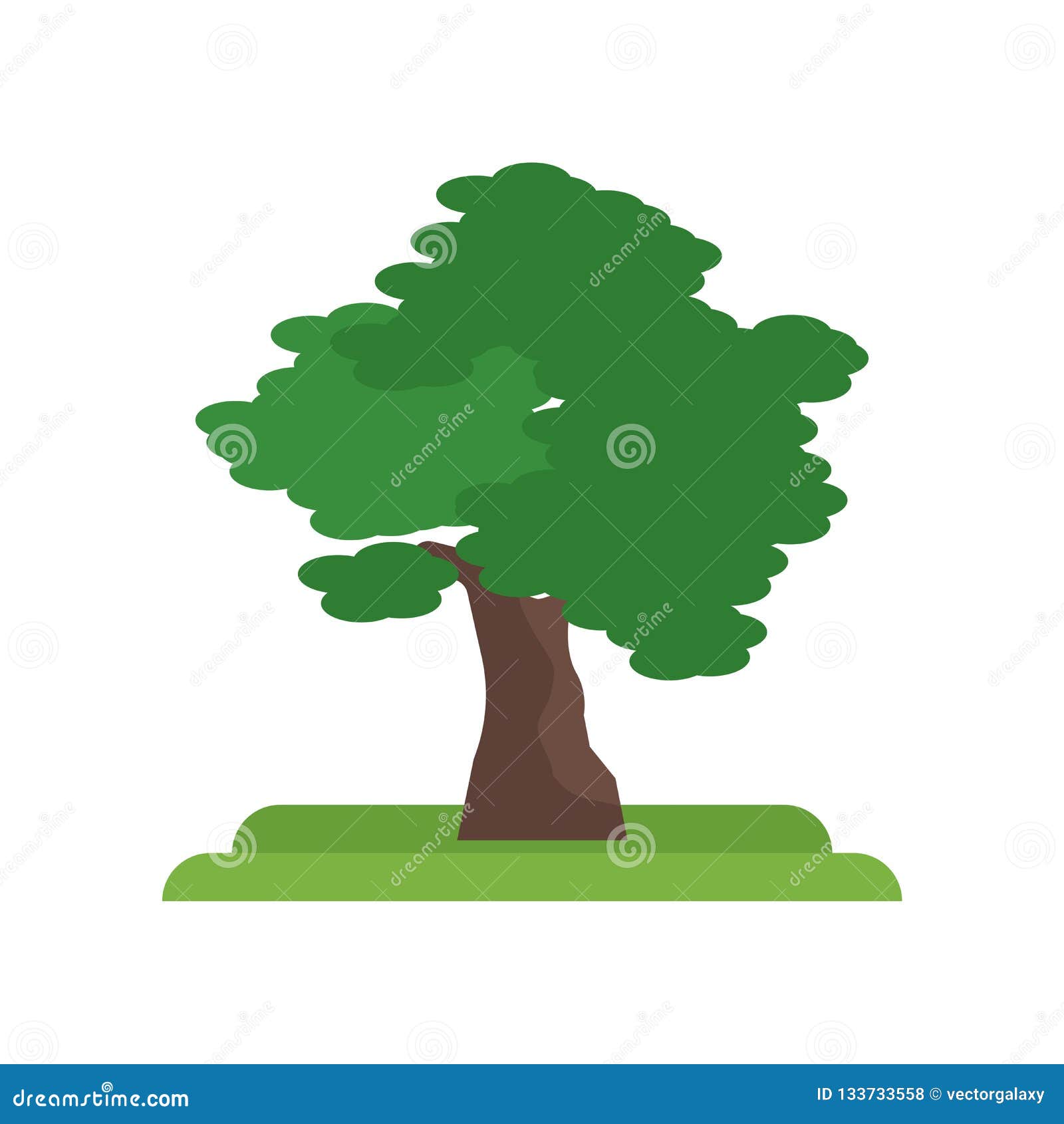 Sycamore Tree Icon Vector Sign and Symbol Isolated on White Back Stock ...