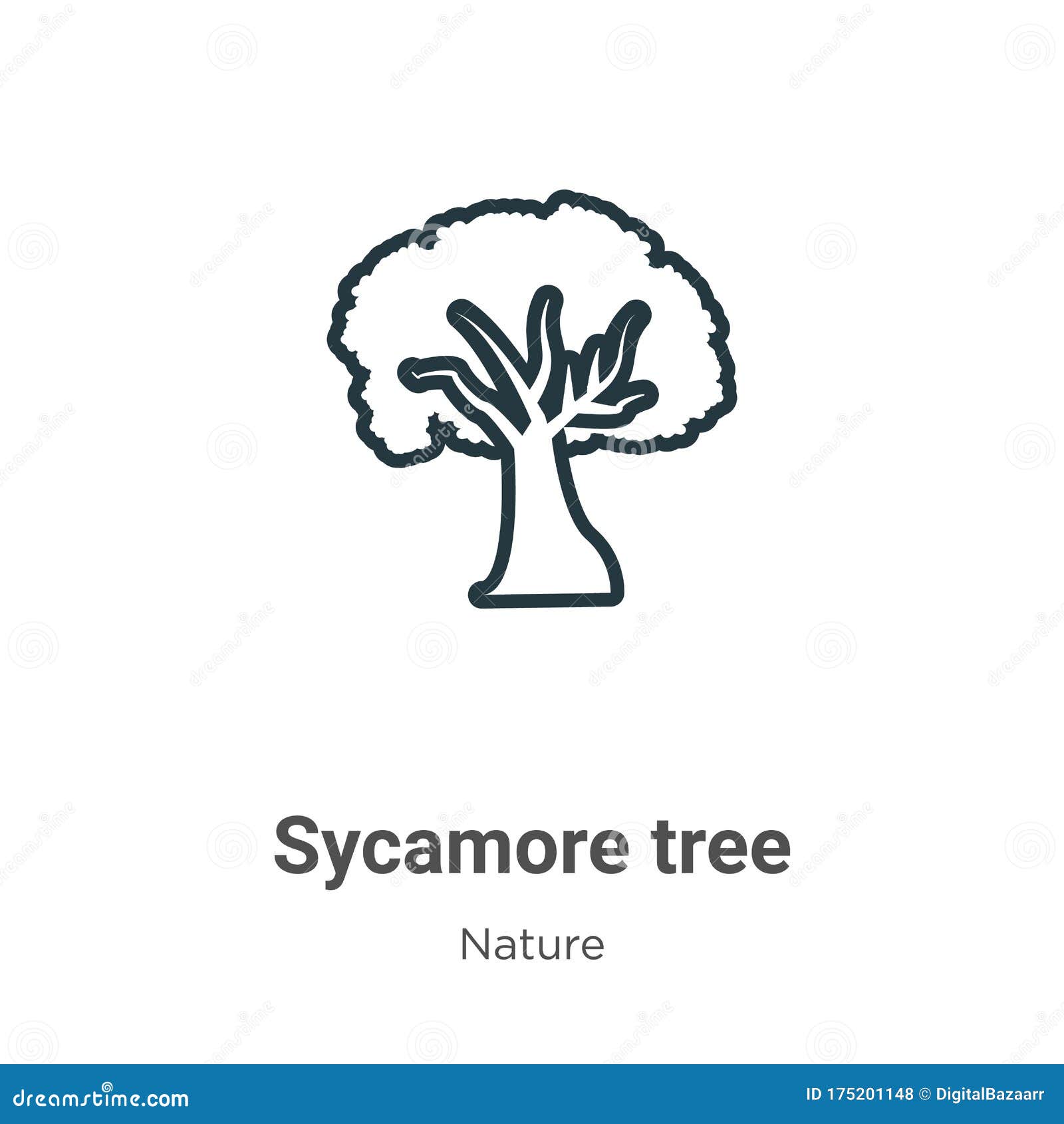 Sycamore Tree Outline Vector Icon. Thin Line Black Sycamore Tree Icon ...