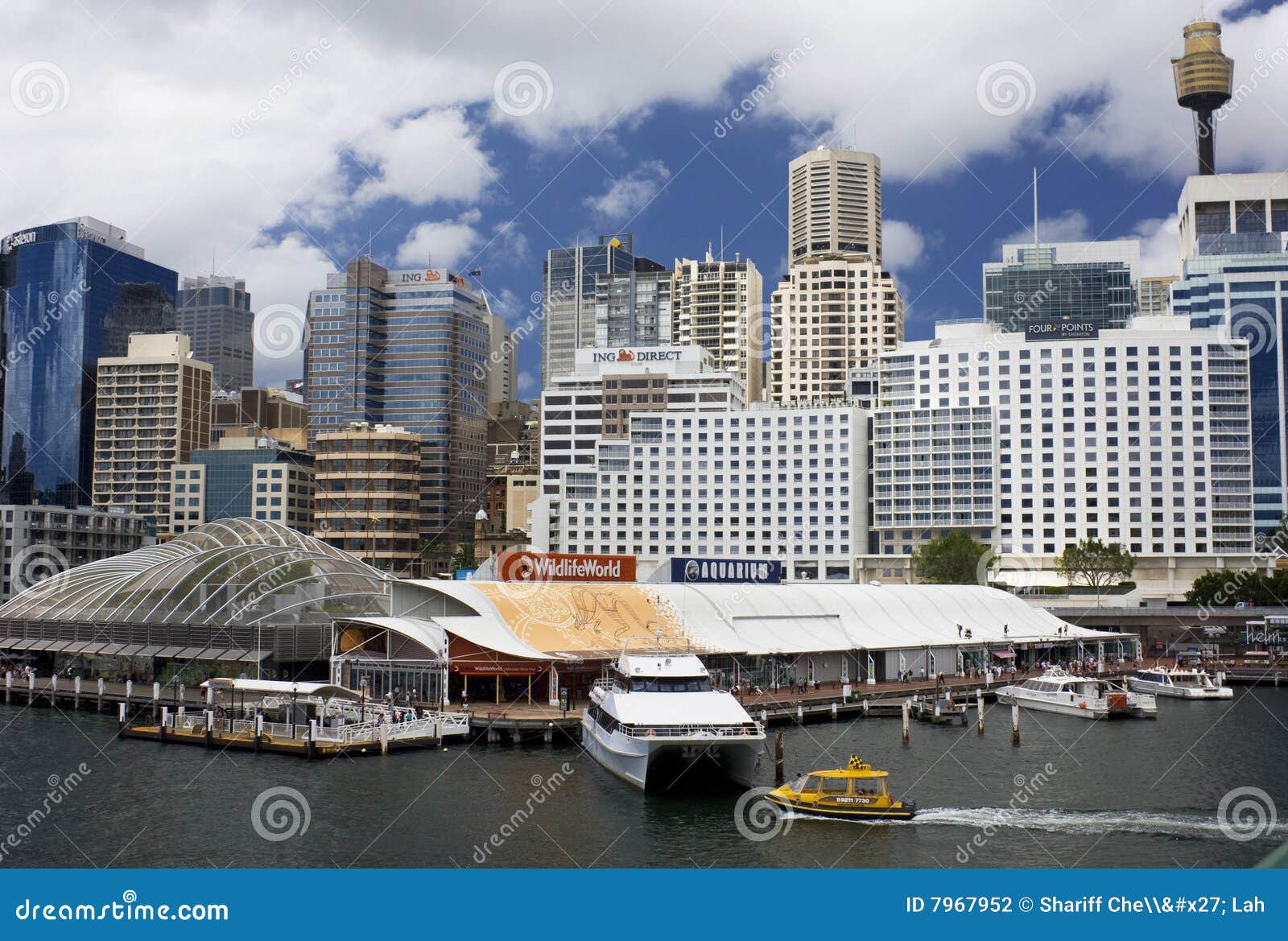 Sydney Australia Cityscape editorial photography. Image of water - 7967952