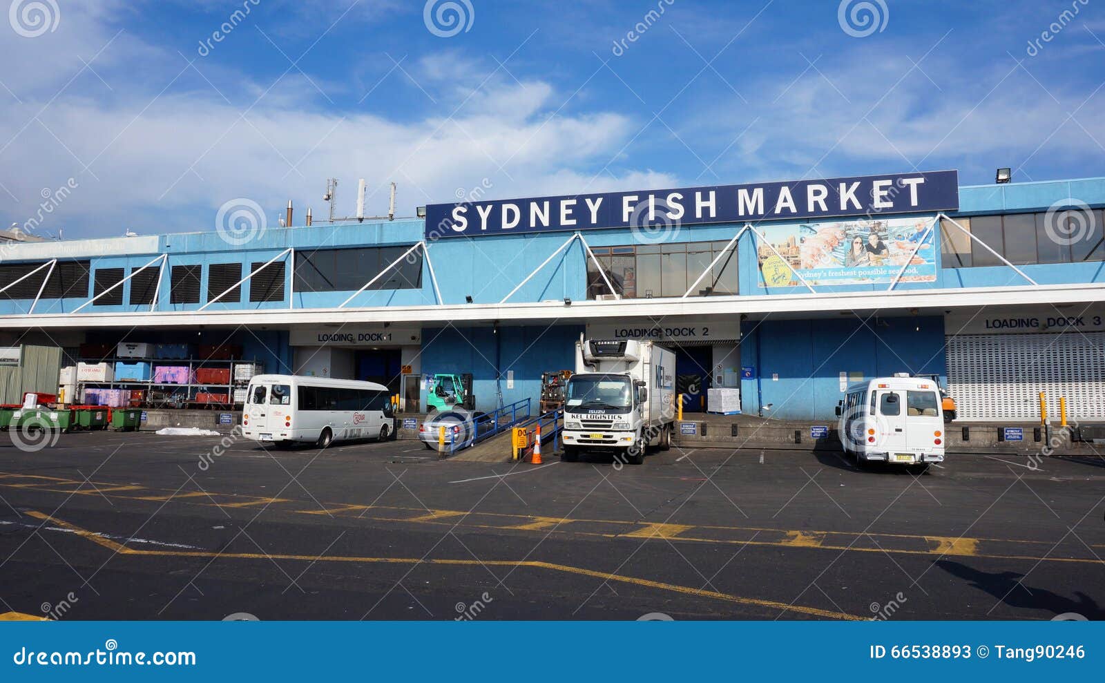 Sydney Fish Market photo stock éditorial. Image du sydney - 66538893