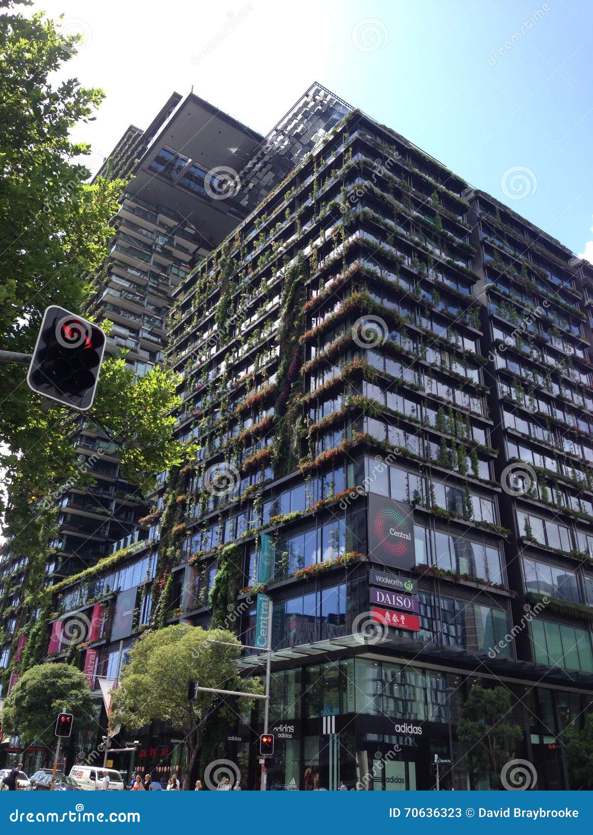 Sydney hanging gardens editorial stock photo. Image of skytower - 70636323
