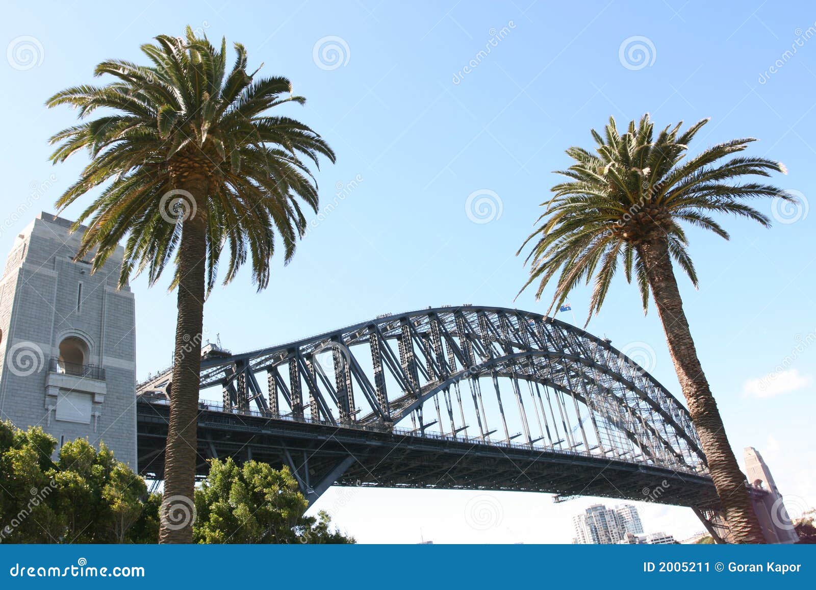 Sydney Harbor Bridge Including Two Palm Trees Stock Image - Image of ...