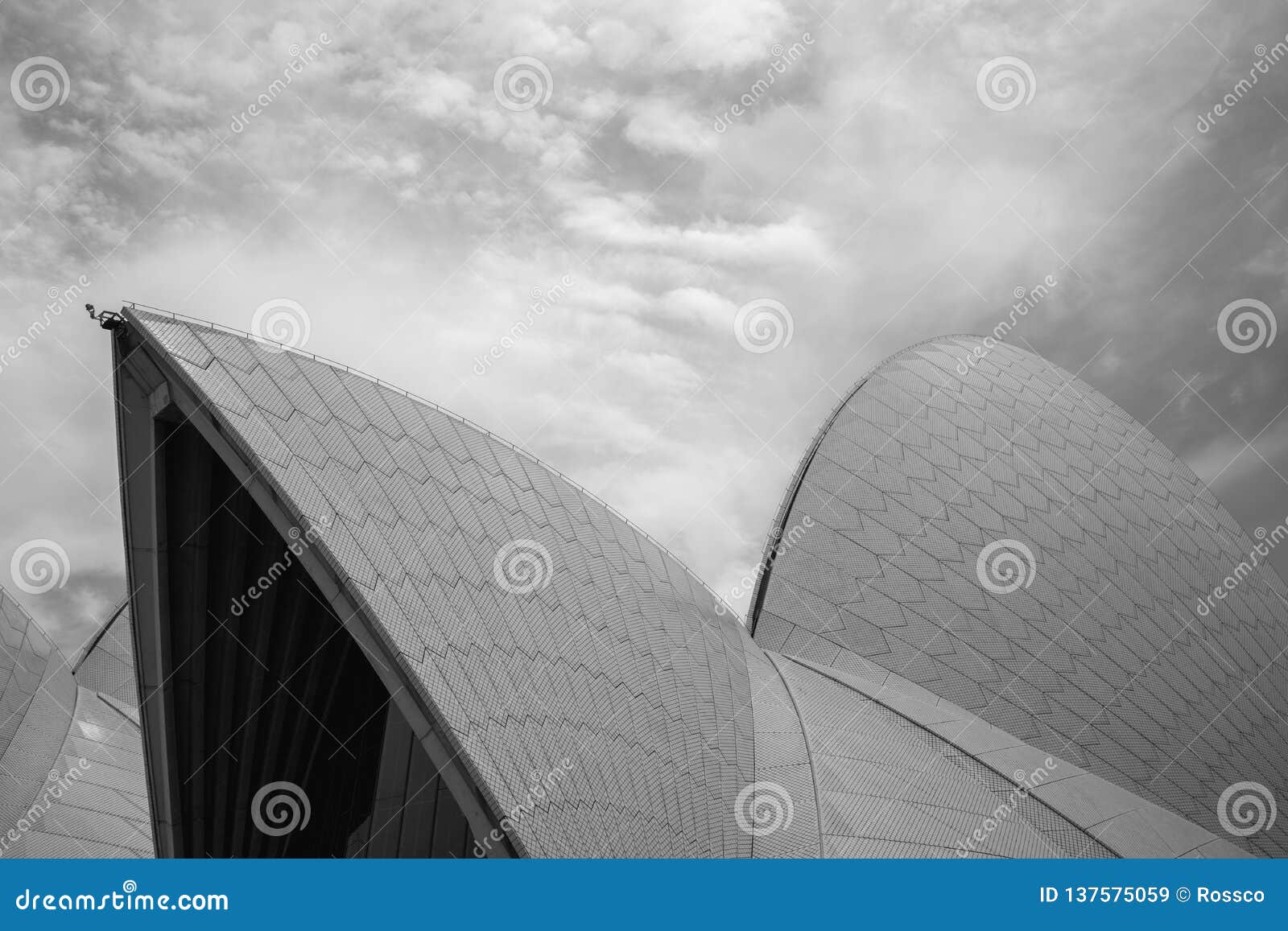Sydney Opera House in Black and White Editorial Stock Image - Image of ...