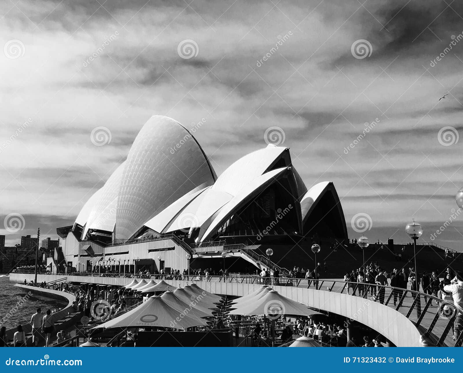 Black and White Sydney Opera House Rear View from City Editorial ...