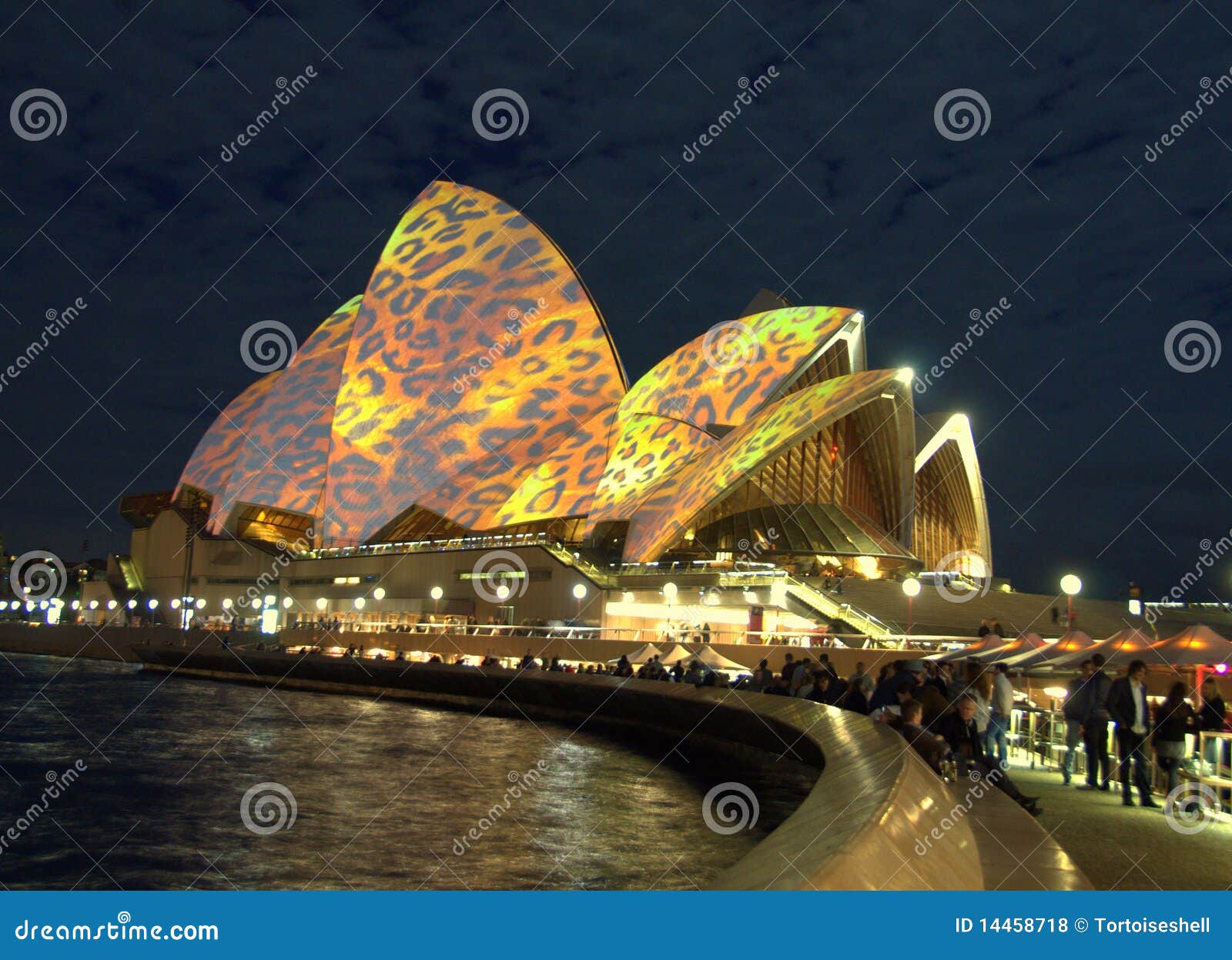 Sydney Opera House - Lighting the Sails Editorial Stock Photo - Image ...