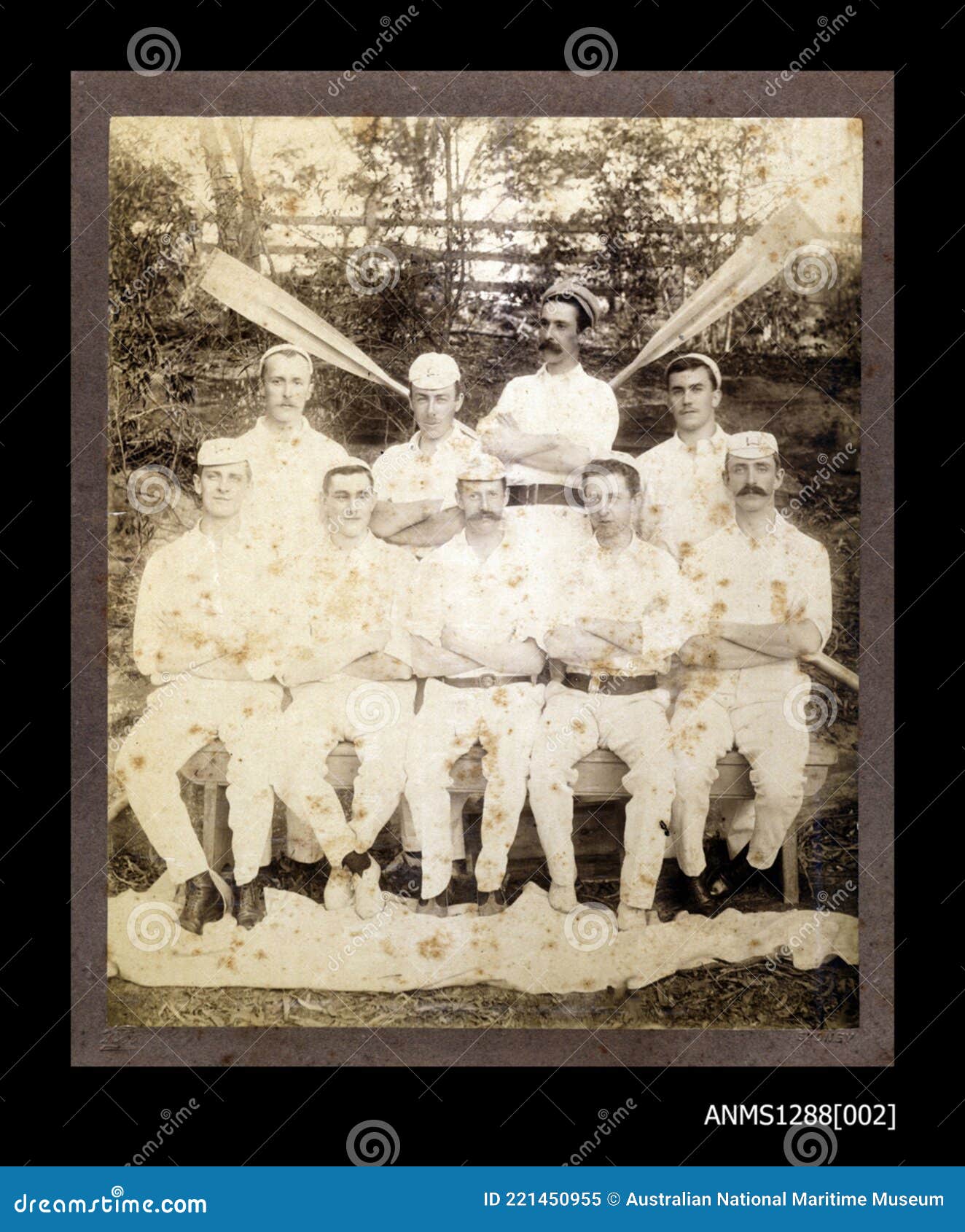 Sydney Rowing Club Eights Crew In A Bush Setting, 1880-1909 Picture ...