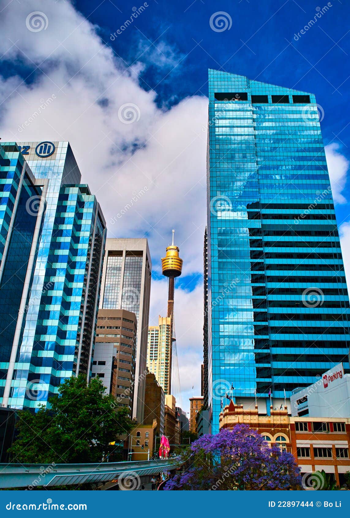 Sydney Tower Editorial Image | CartoonDealer.com #85152312