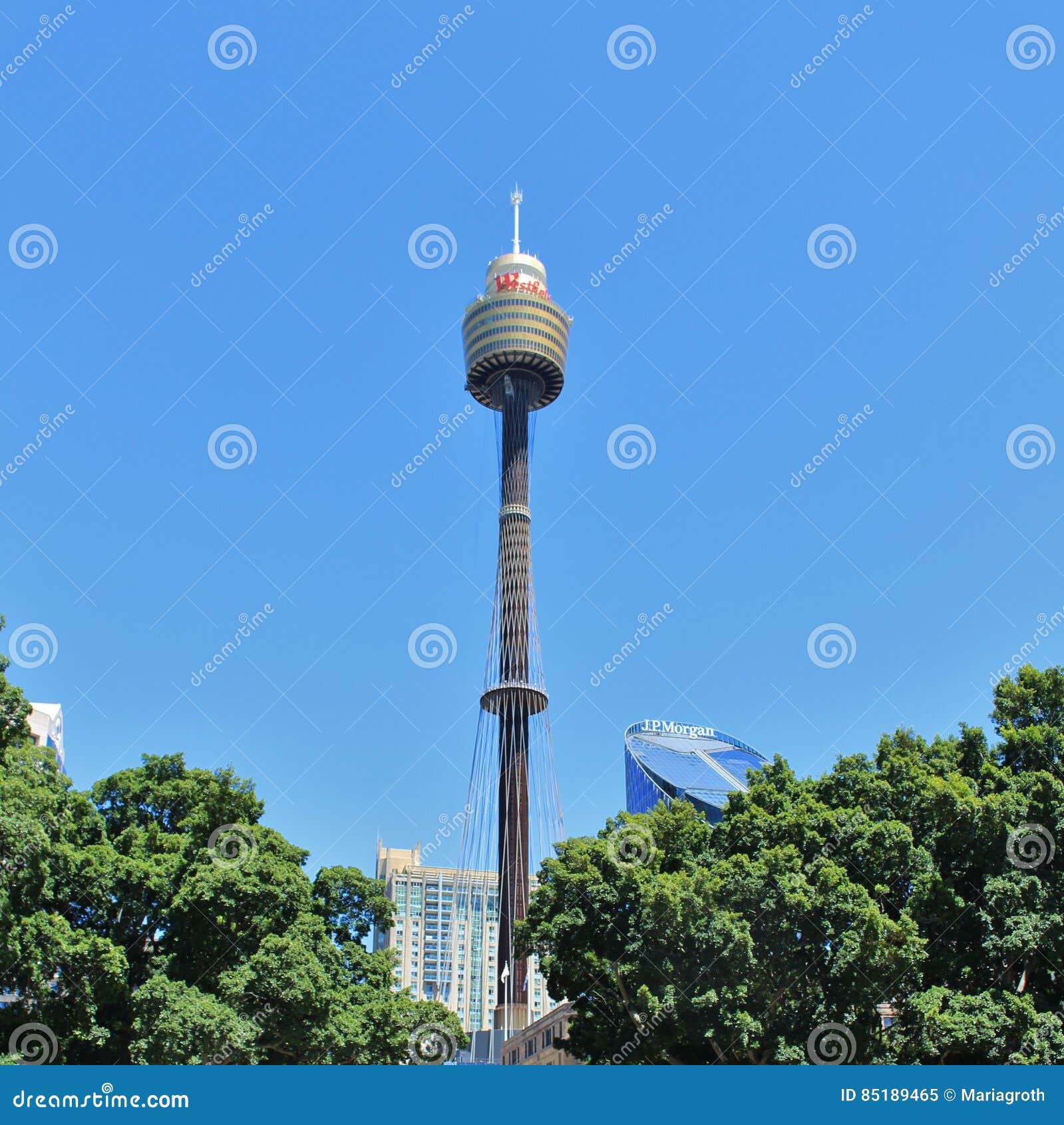 Sydney Tower editorial image. Image of cafes, building - 85189465