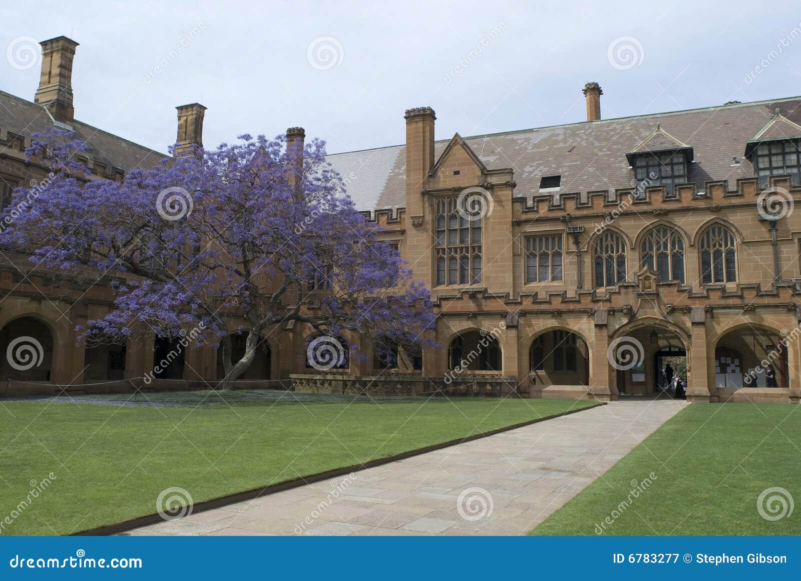 Sydney University Quadrangle Stock Image - Image of quad, quadrangle ...