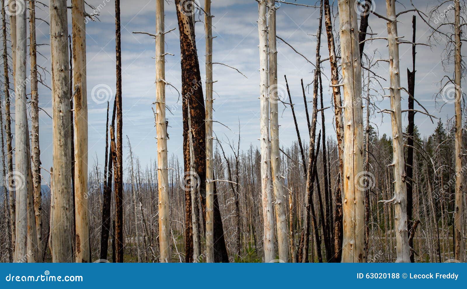 Sylvan pass stock photo. Image of strees, nature, destinations - 63020188