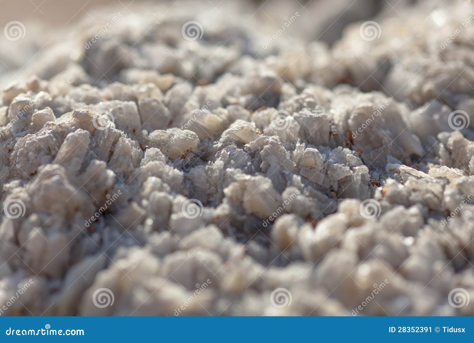 Sylvine Stock Photos - Free & Royalty-Free Stock Photos from Dreamstime