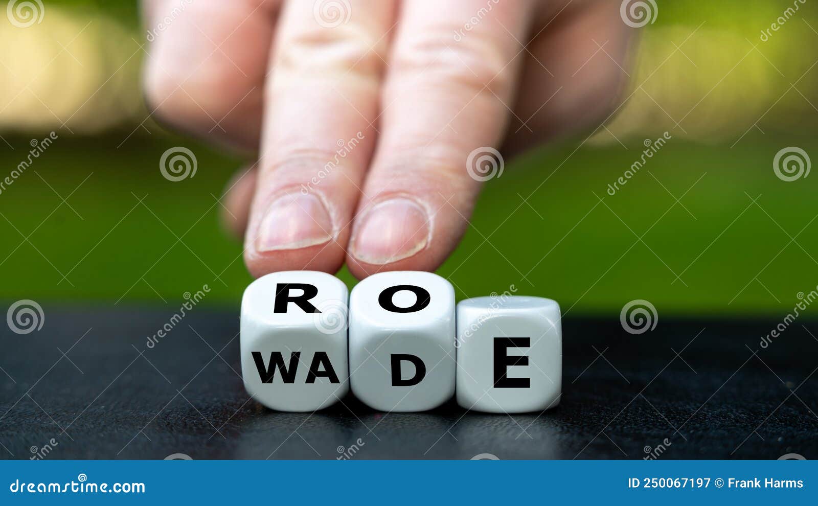 Abortion Process Roe Versus Wade Symbol. Concept Words Roe Versus Wade ...