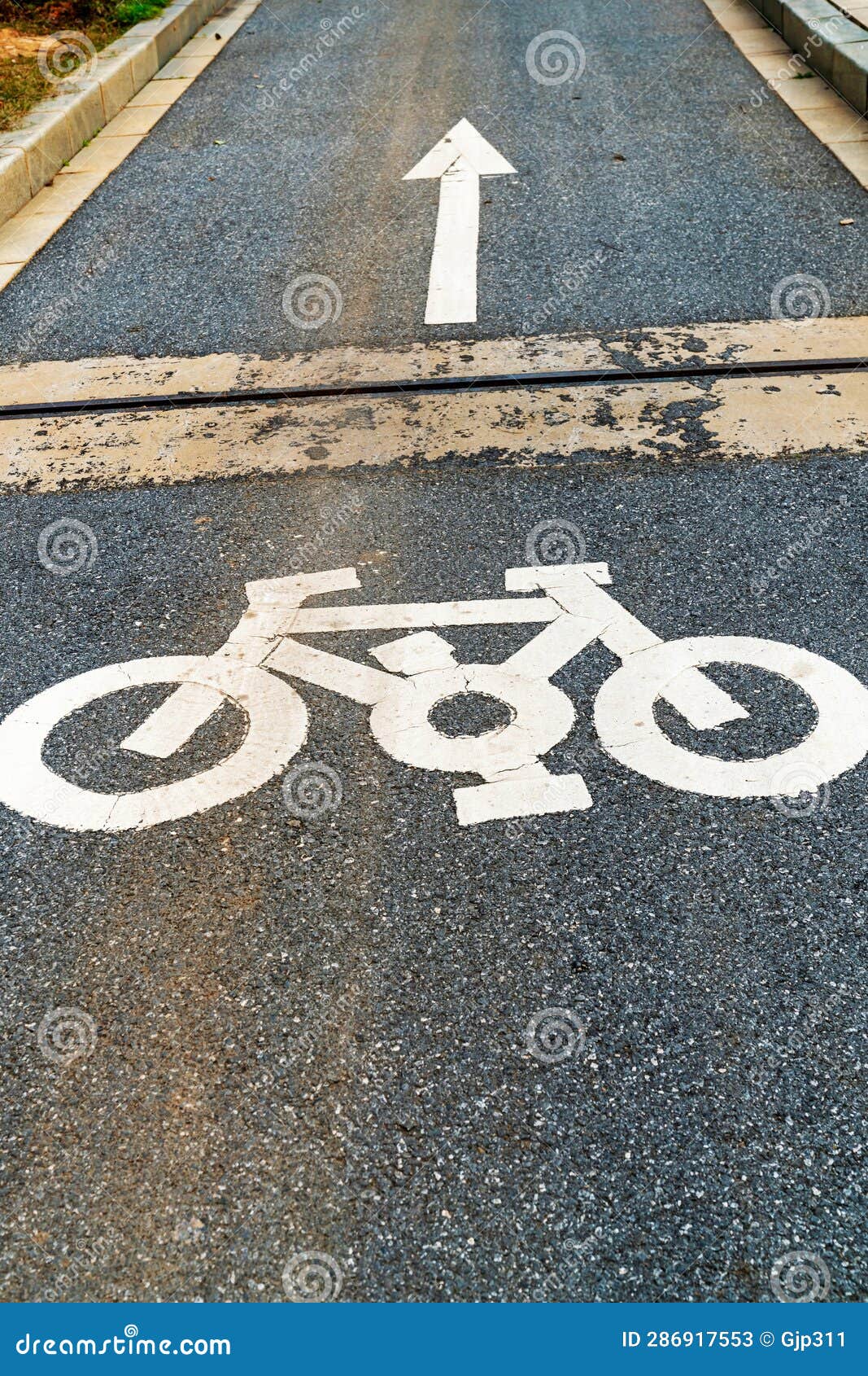 The Symbol of a Bicycle Lane on the Road Stock Image - Image of ...