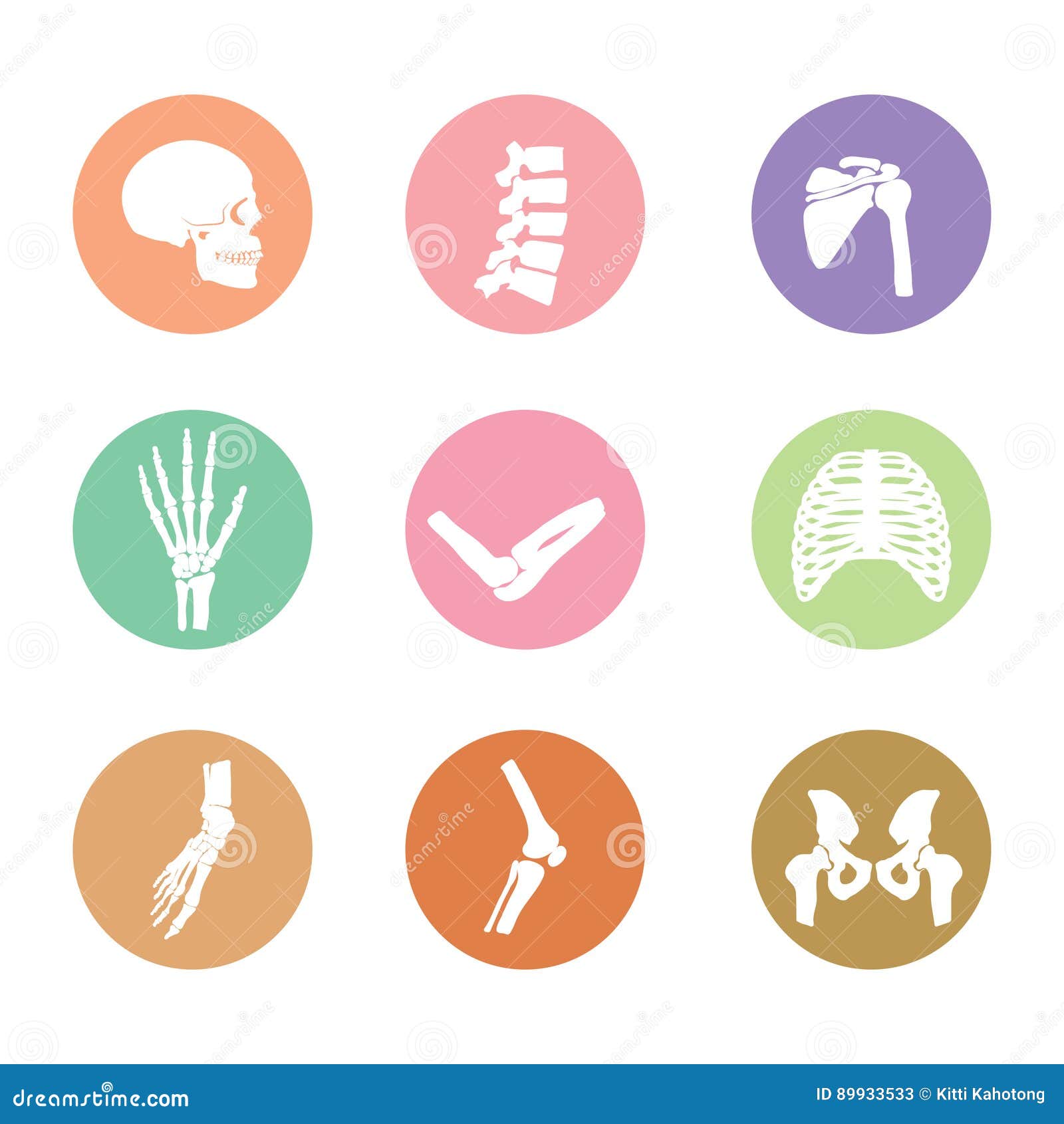 Symbol of Bones in the Human Body Stock Illustration - Illustration of ...