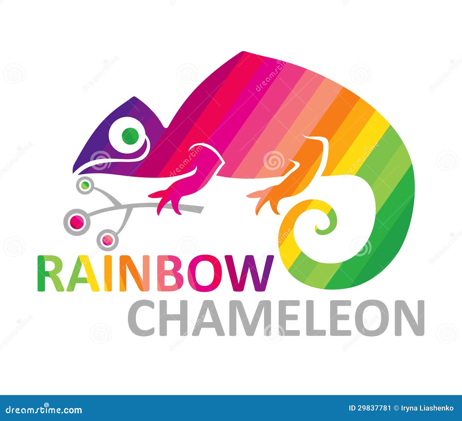Rainbow chameleon. stock vector. Illustration of graphic - 29837781