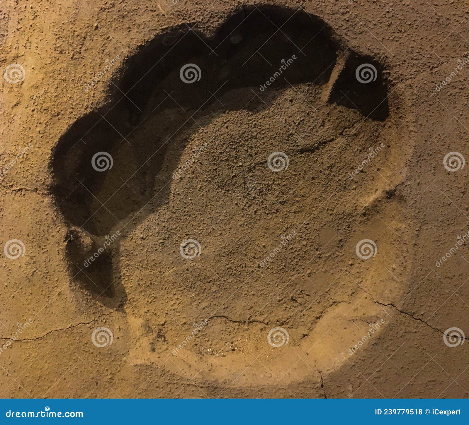 Elephant Foot Stock Image | CartoonDealer.com #16347253