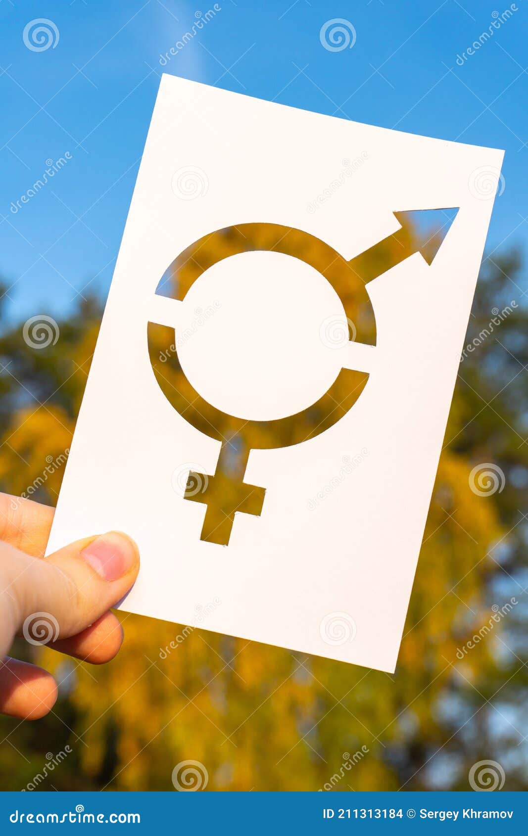 Symbol of Gender Equality on the Background of Autumn Trees Stock Photo ...