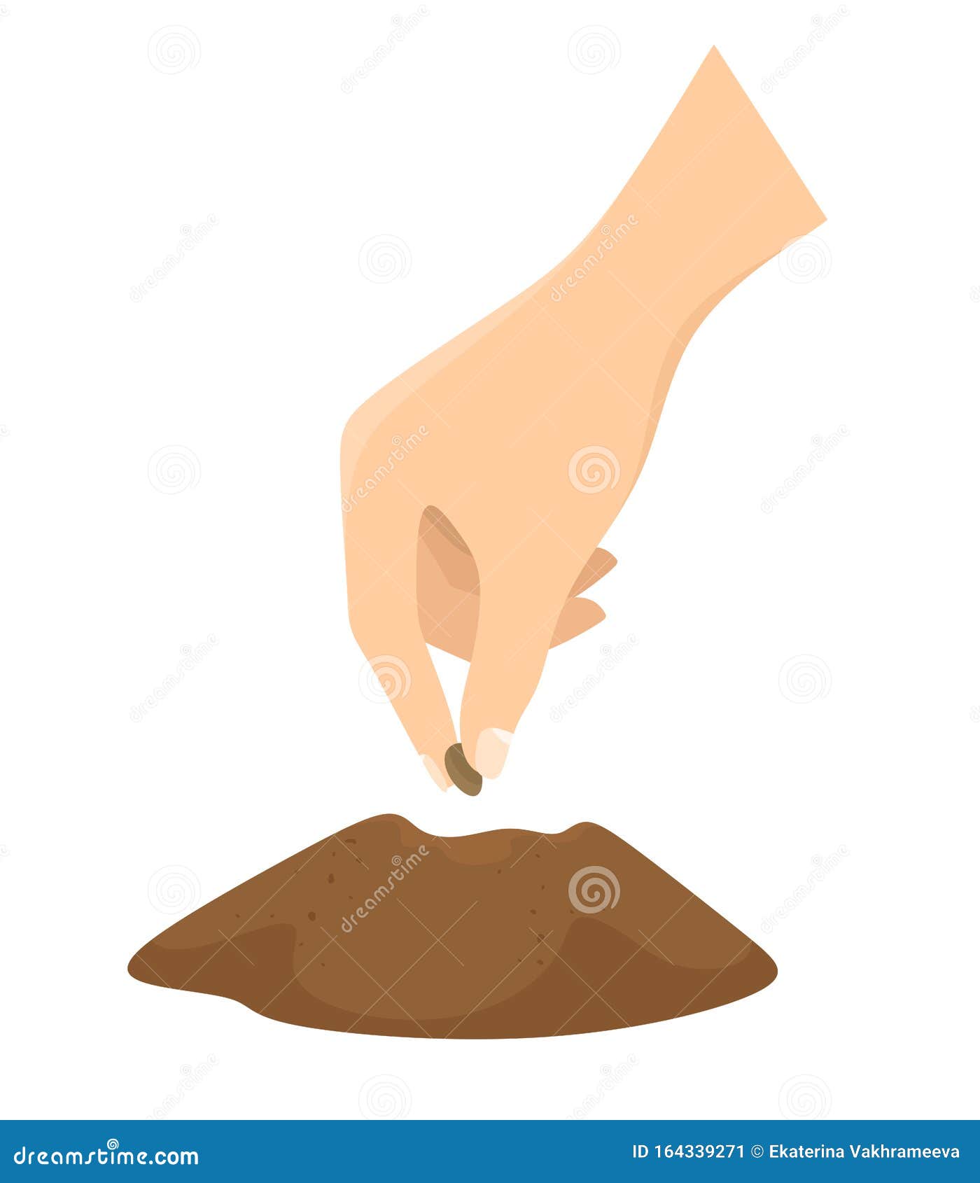 A Hand Plants a Seed in the Ground. Breeding, Agricultural Theme ...