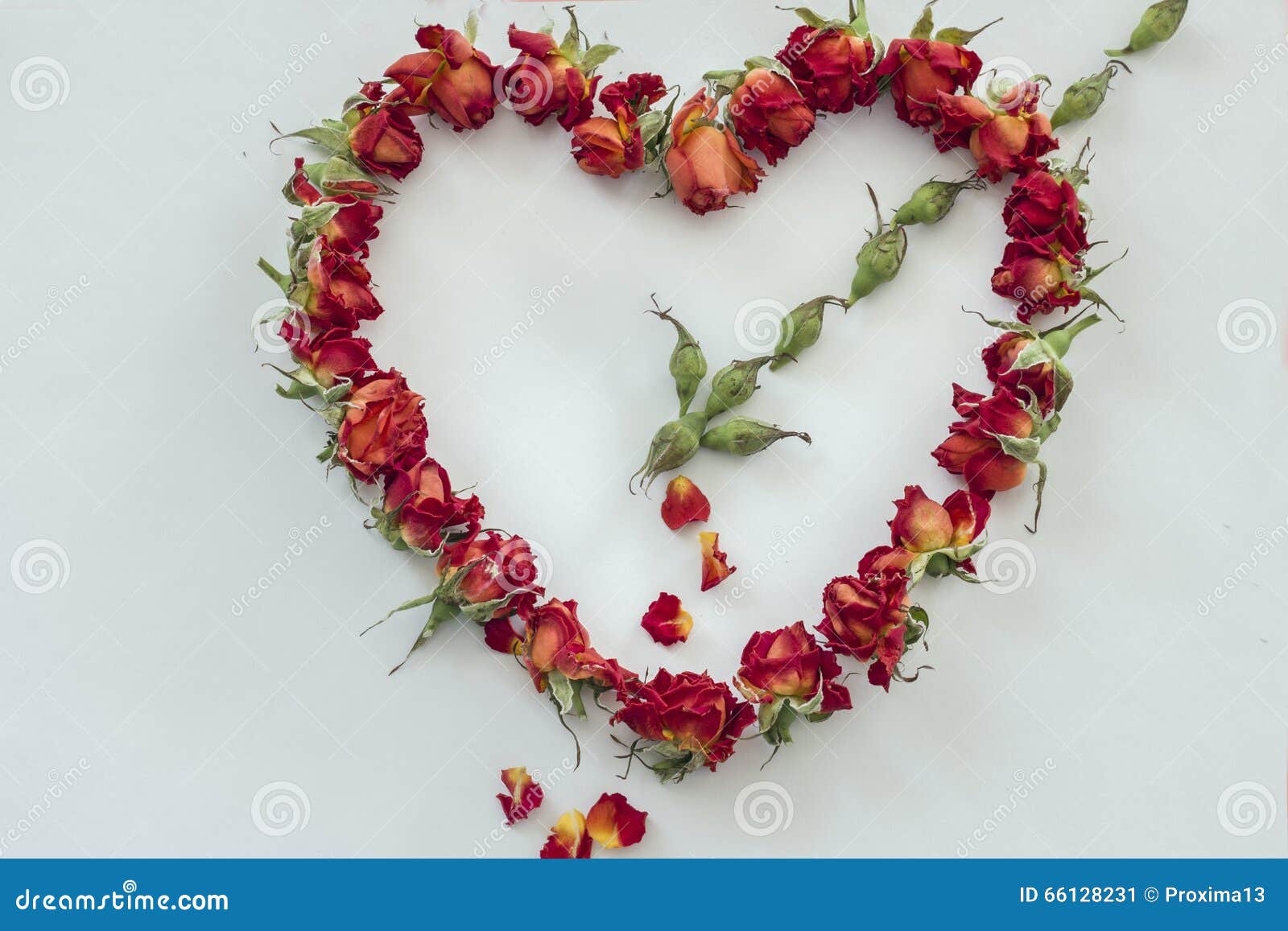Symbol Heart from Roses Pierced by Cupid S Arrow Stock Image - Image of ...