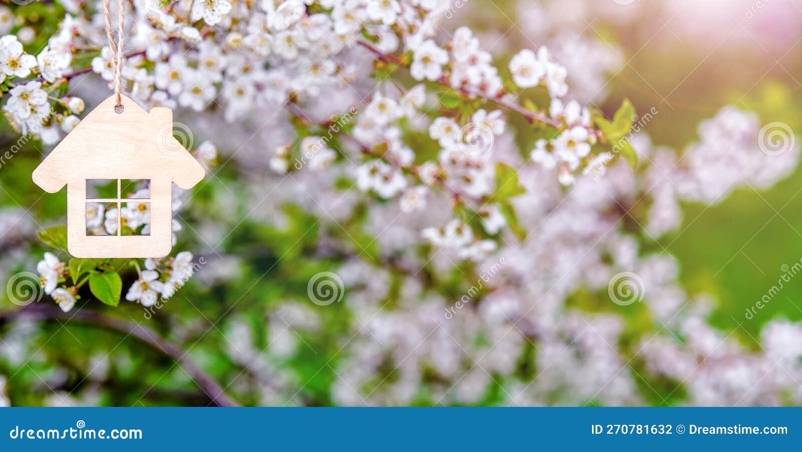 Symbol of the House among the White Cherry Stock Photo - Image of ...