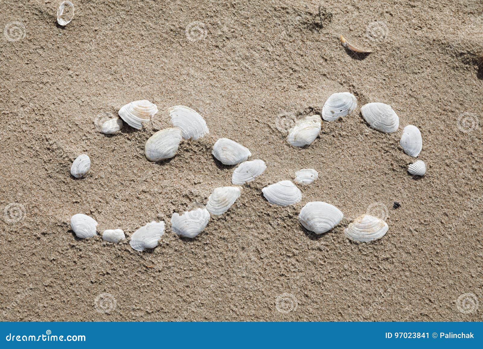 Symbol Infinity Lined with Seashells Stock Image - Image of relaxation ...