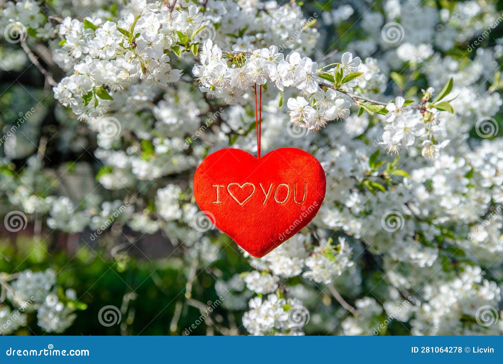 A Symbol of Love among the Branches of a Blooming Stock Photo - Image ...