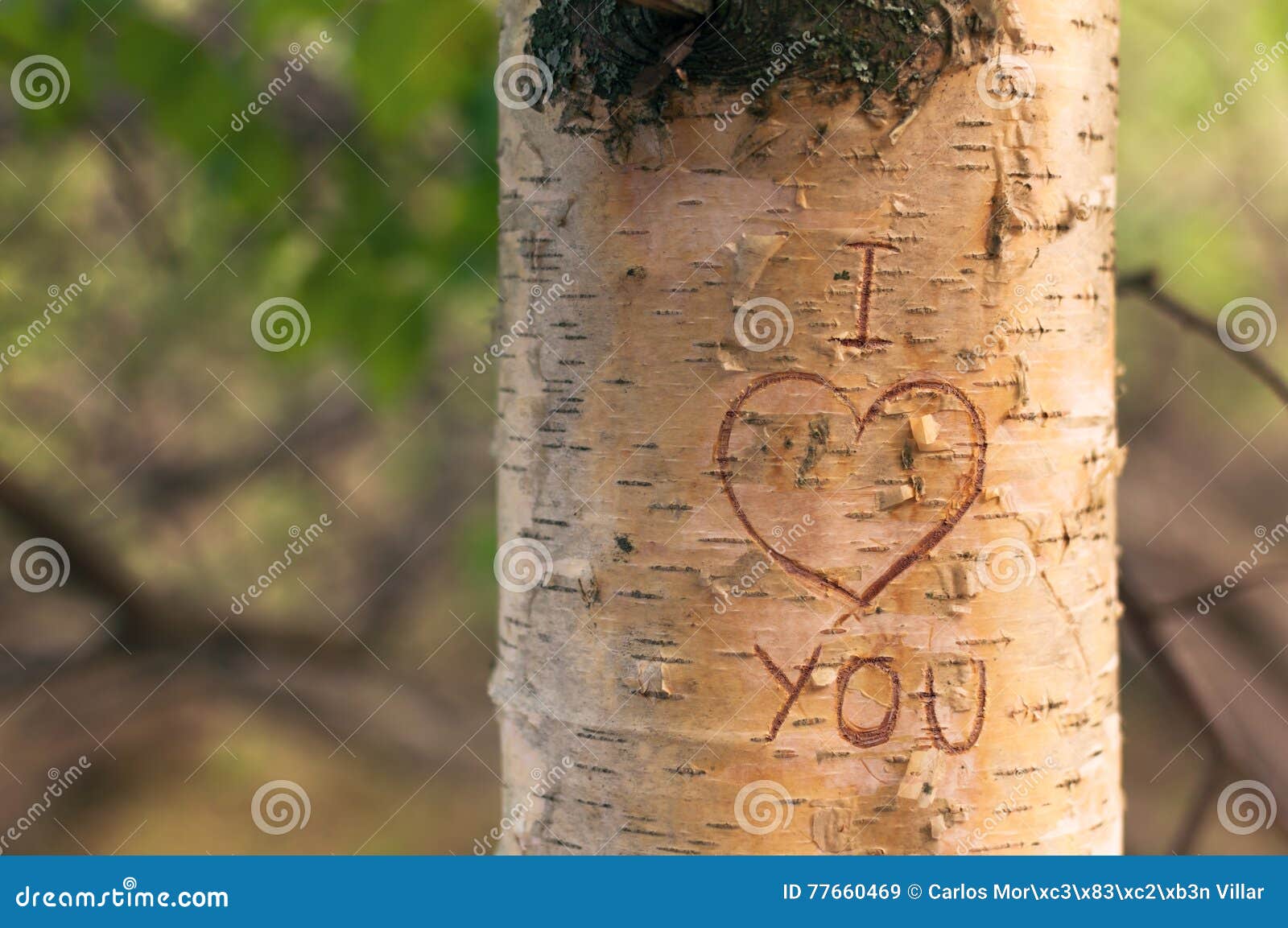 Engraved Tree Stock Image | CartoonDealer.com #1314433