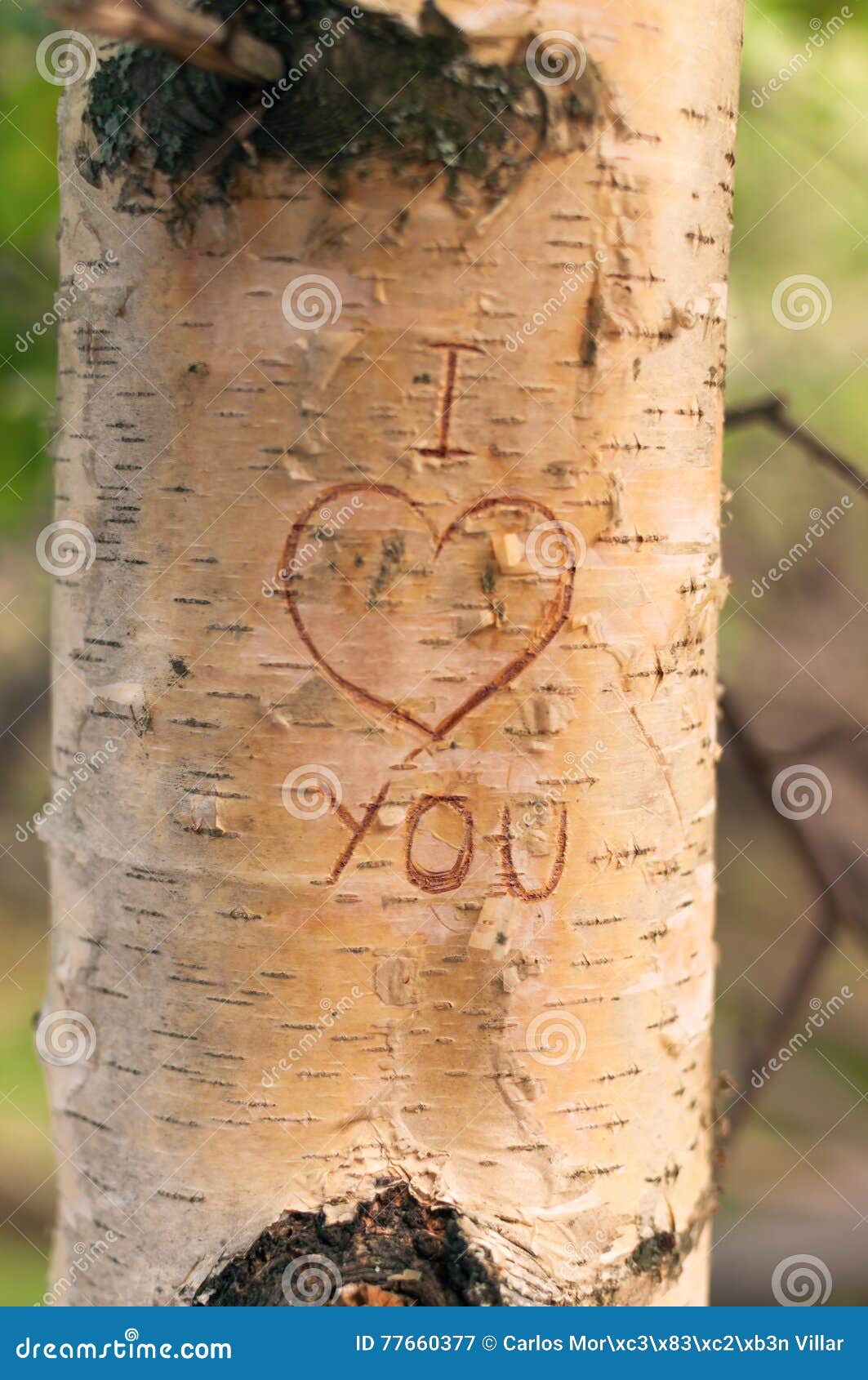 Engraved Tree Royalty-Free Stock Photography | CartoonDealer.com #1314443