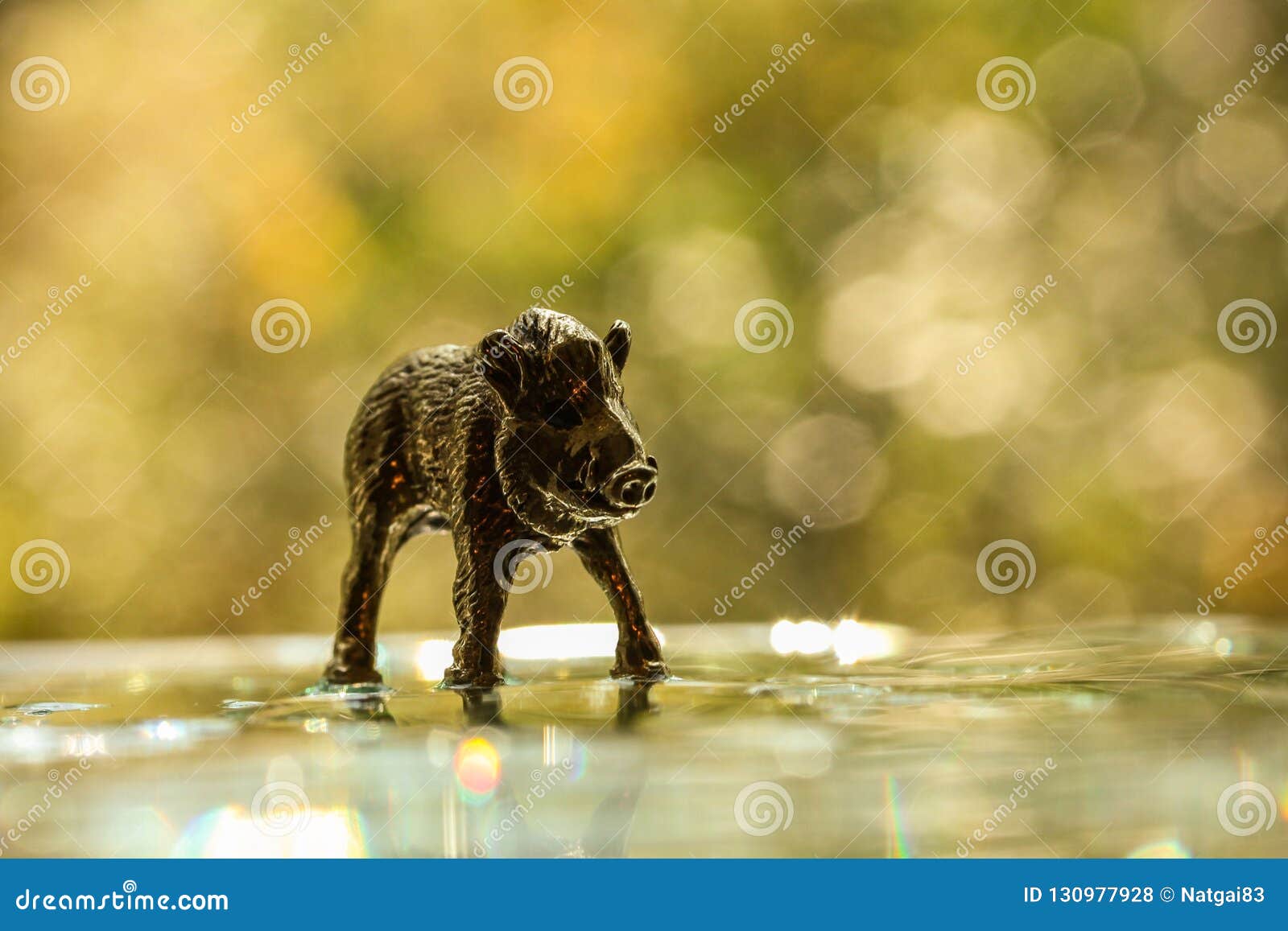 Symbol of 2019 New Year Yellow Earth Boar Stock Photo - Image of ...