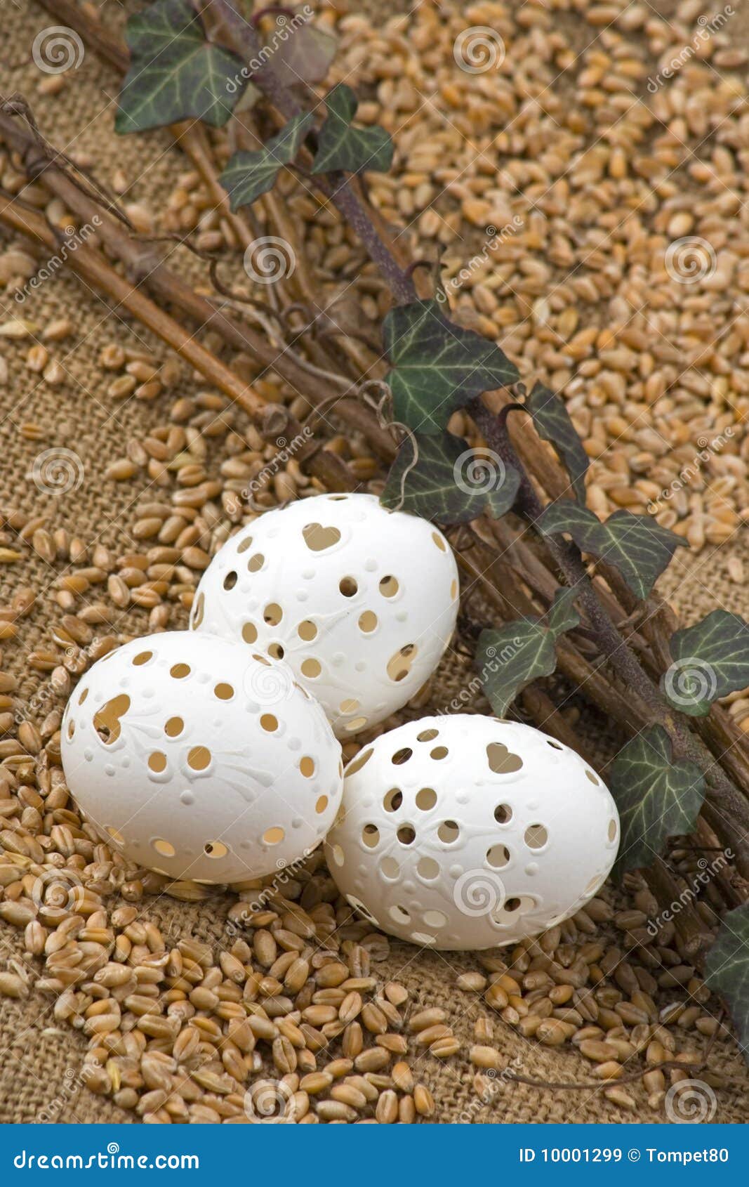 Symbol spring stock image. Image of background, berry - 10001299