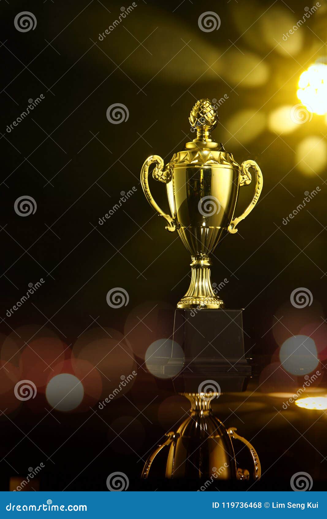 Symbol of success stock photo. Image of determination - 119736468