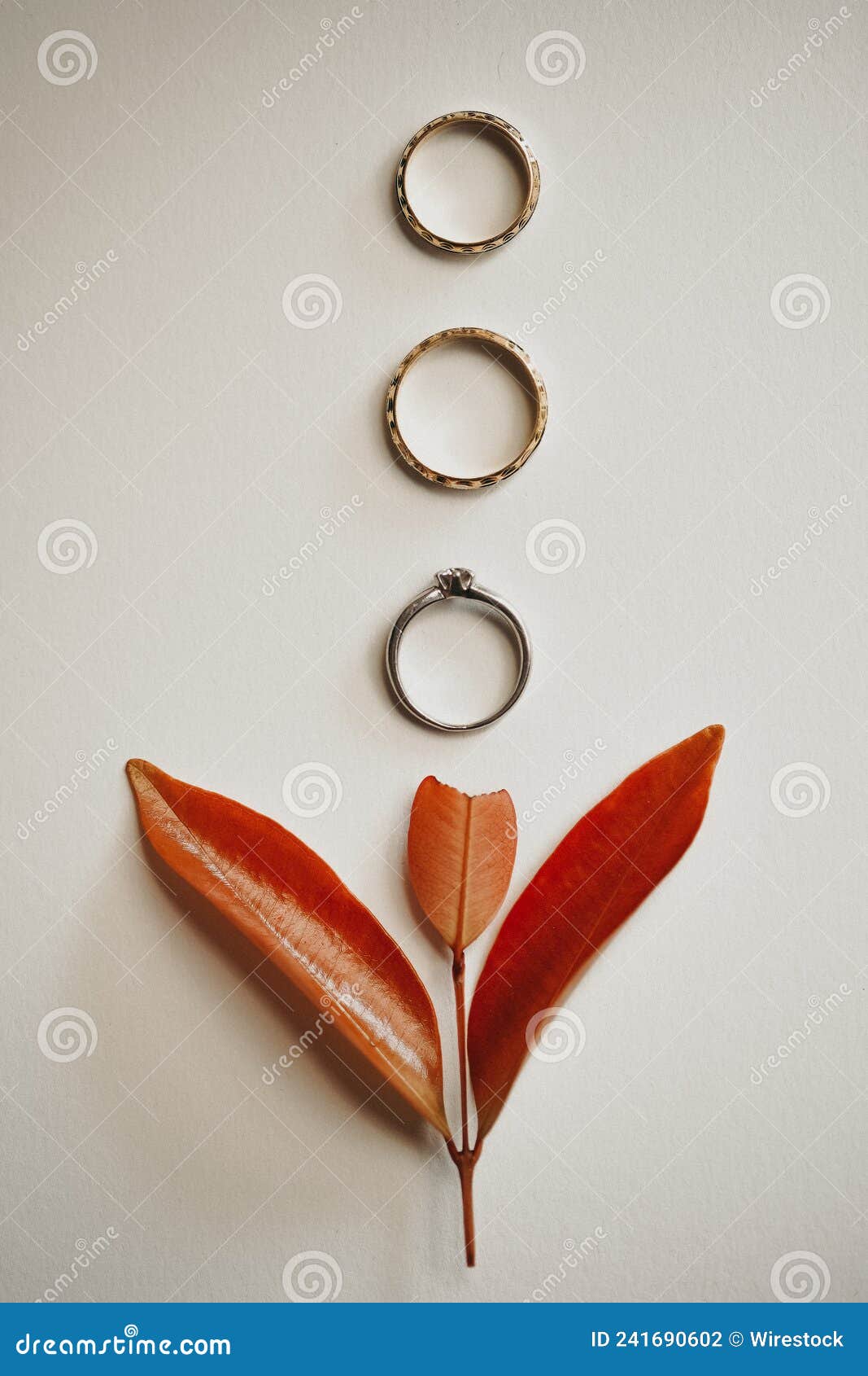 Wedding Ring a Symbol of Unity 0000 Stock Photo - Image of marriage ...