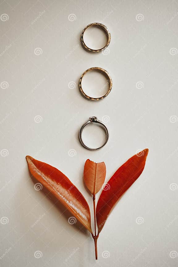 Wedding Ring a Symbol of Unity 0000 Stock Photo - Image of marriage ...
