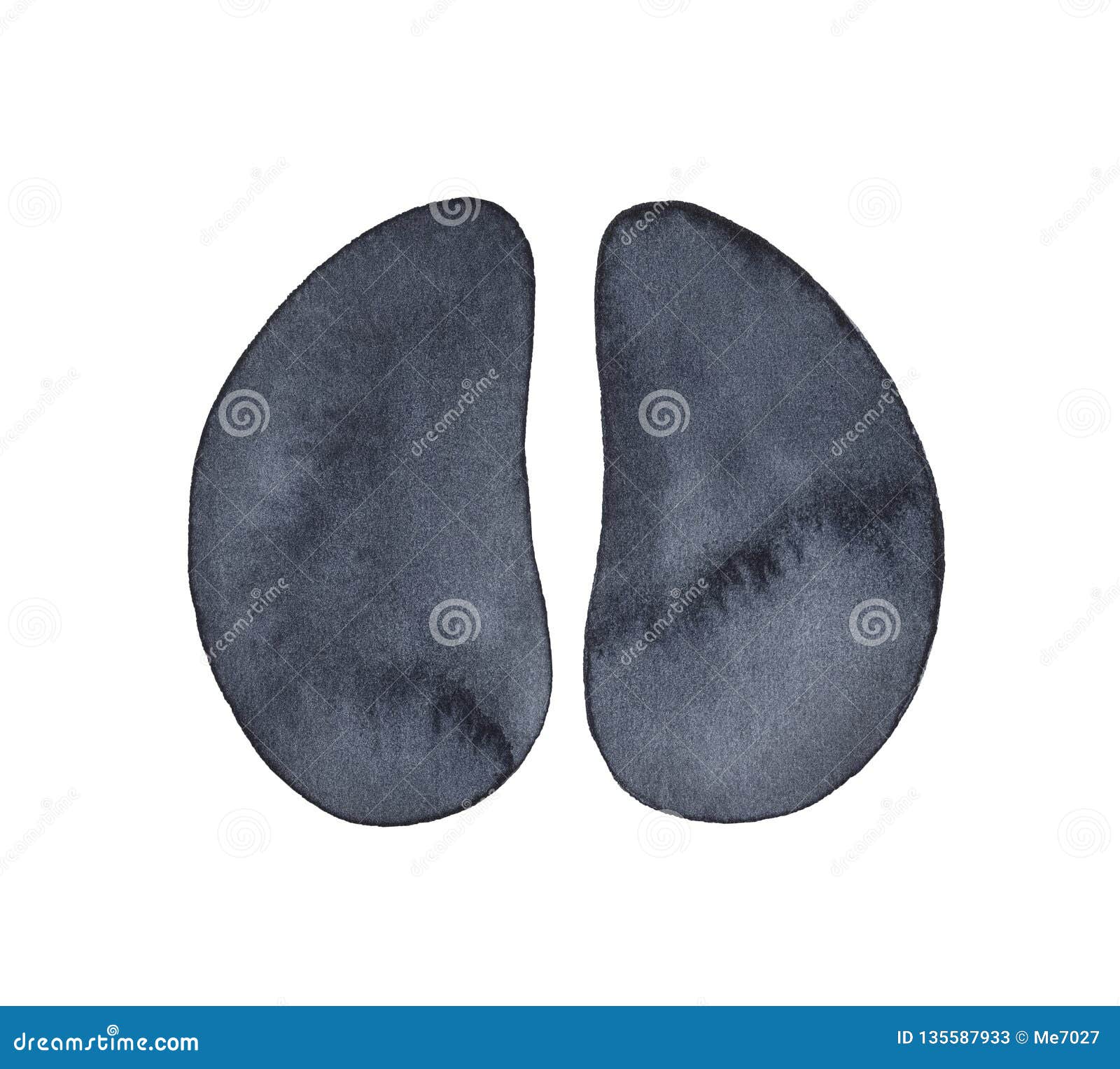 Cow Hoof Print Watercolour Sketch. Stock Image - Image of drawn, bull ... Cow Hoof Print Watercolour Sketch. Stock Image - Image of drawn, bull ...