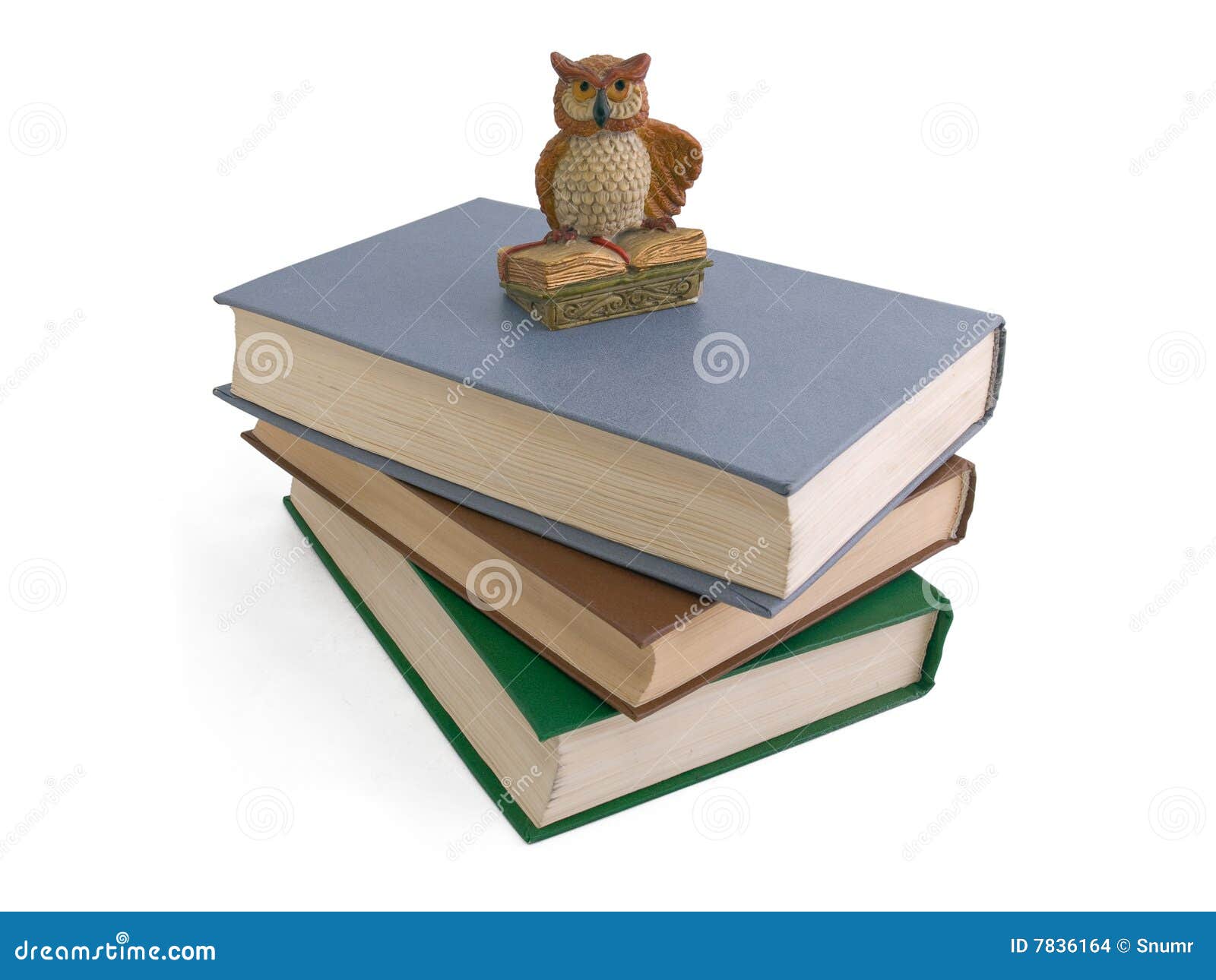 A symbol of wisdom stock photo. Image of education, bookstore - 7836164