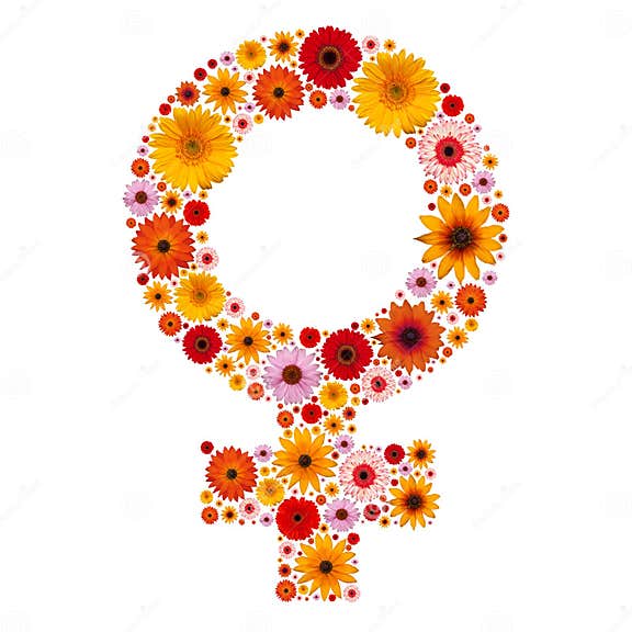 Symbol woman stock photo. Image of gerber, discrimination - 20576734