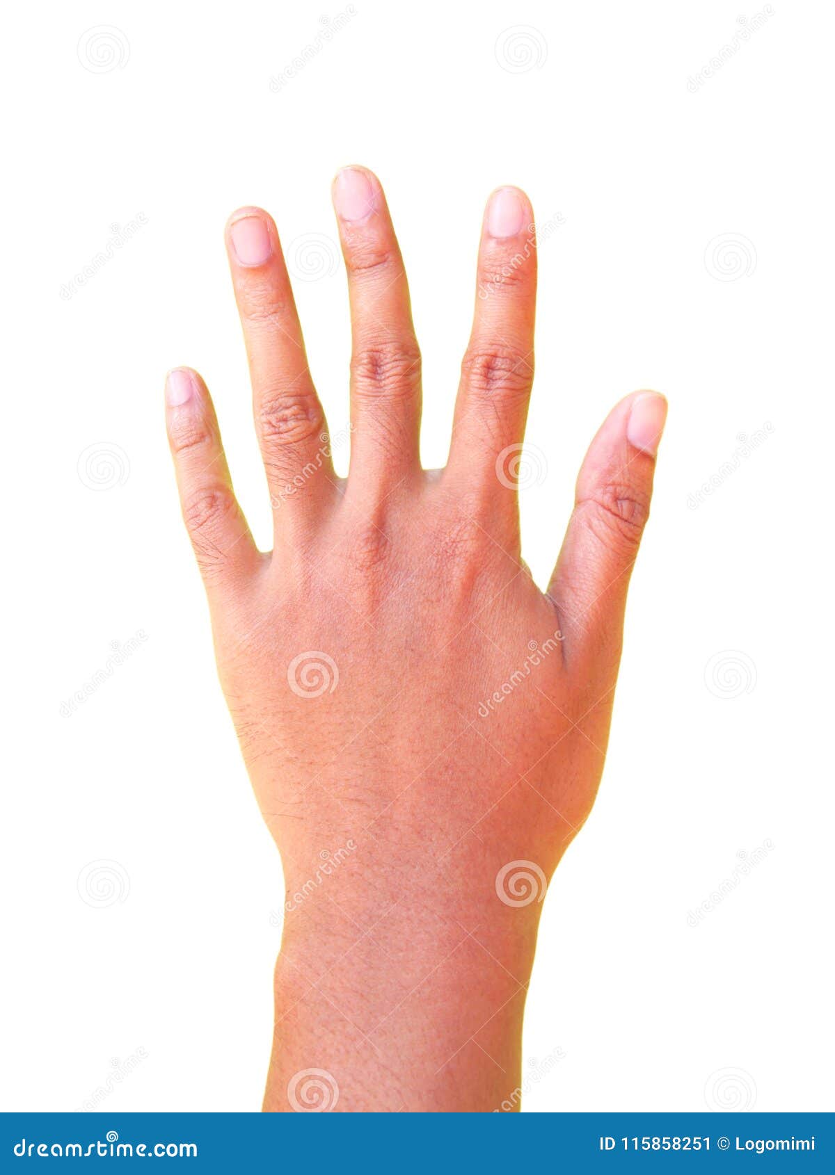 Symbole De Geste De Main Du Numéro Cinq Image stock - Image du main ...