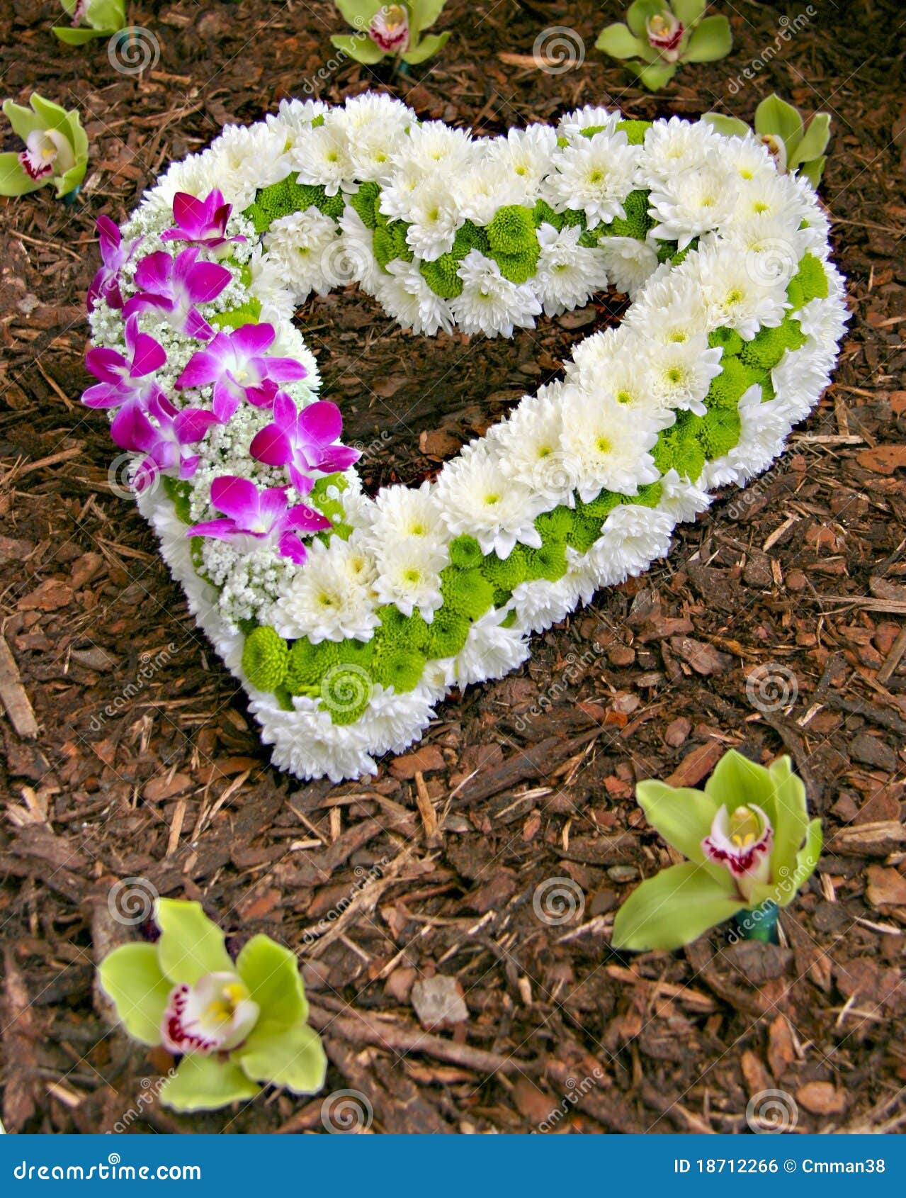 Symbole De L'amour - COEUR De FLEUR Photo stock - Image du isolement ...
