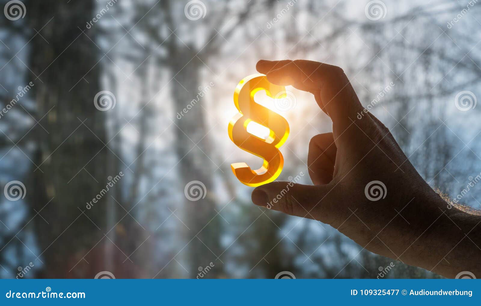 Symbole De Loi Et De Justice - Signe De Paragraphe/section Image stock ...