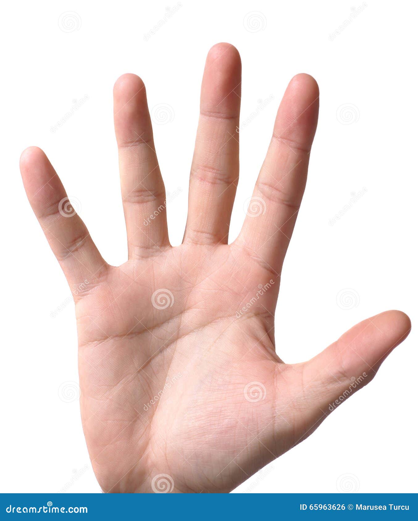 Symbole De Main Qui Signifie Cinq Photo stock - Image du main, homme ...