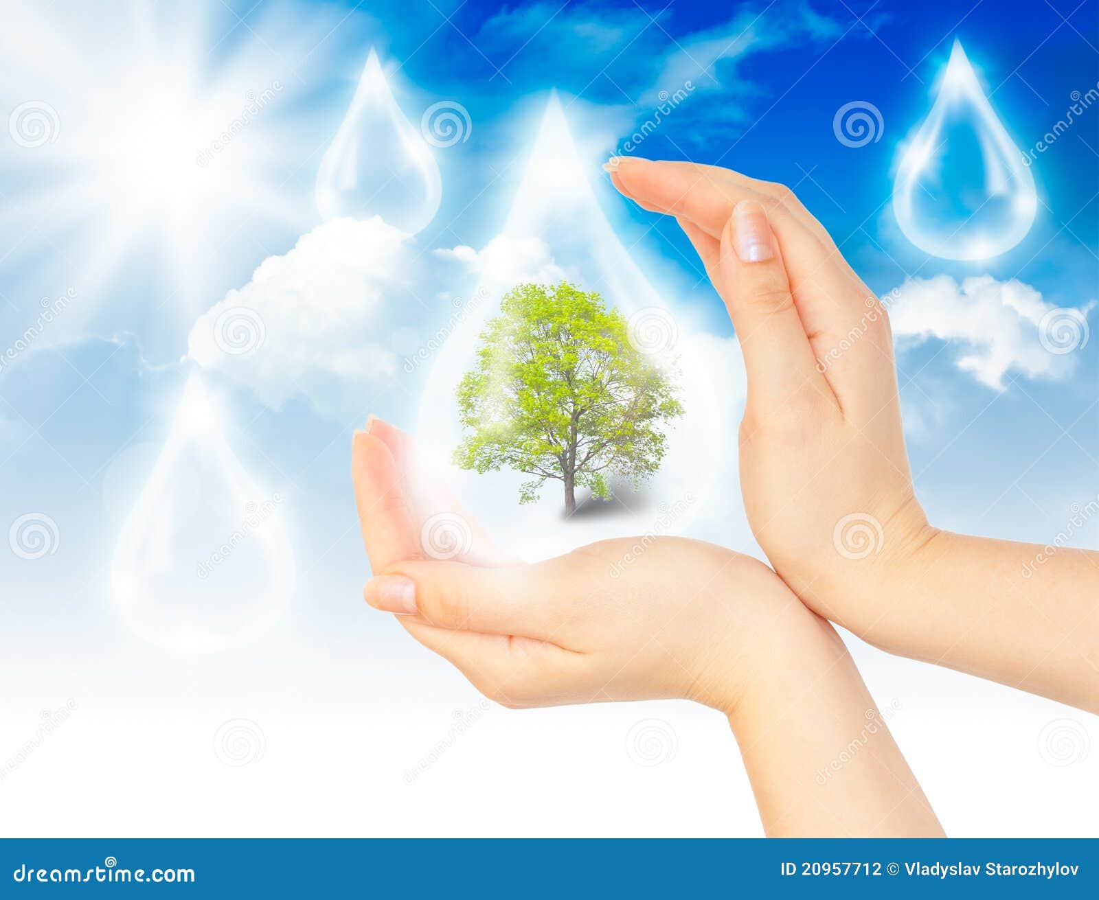 Symbole De Protection De L'environnement Photo stock - Image du ...