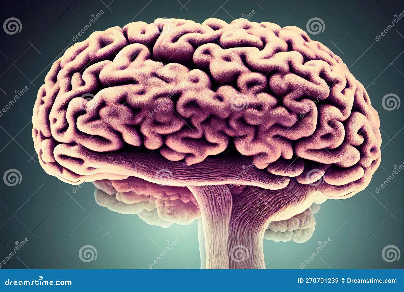Symbolic Image of Human Brain in Virtual Representation. Stock ...