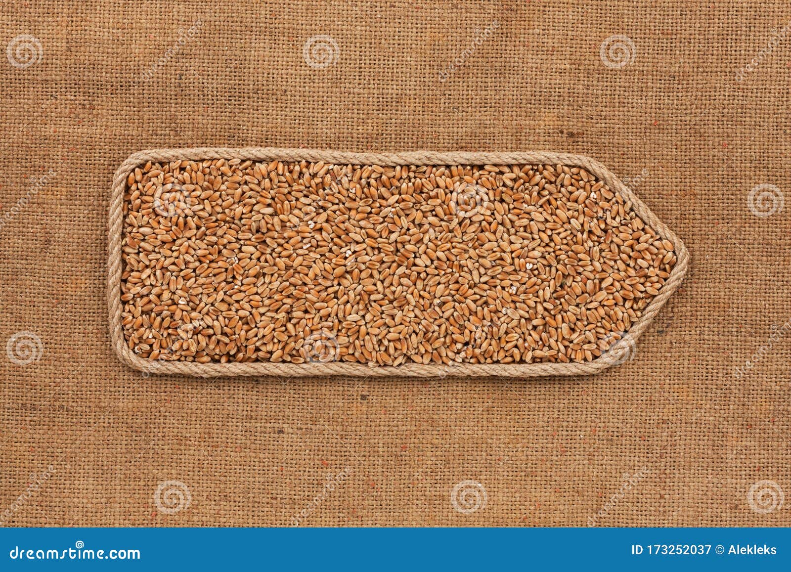 Symbolic Pointer Made of Rope with Wheat Grains Lying on a Burlap Stock ...